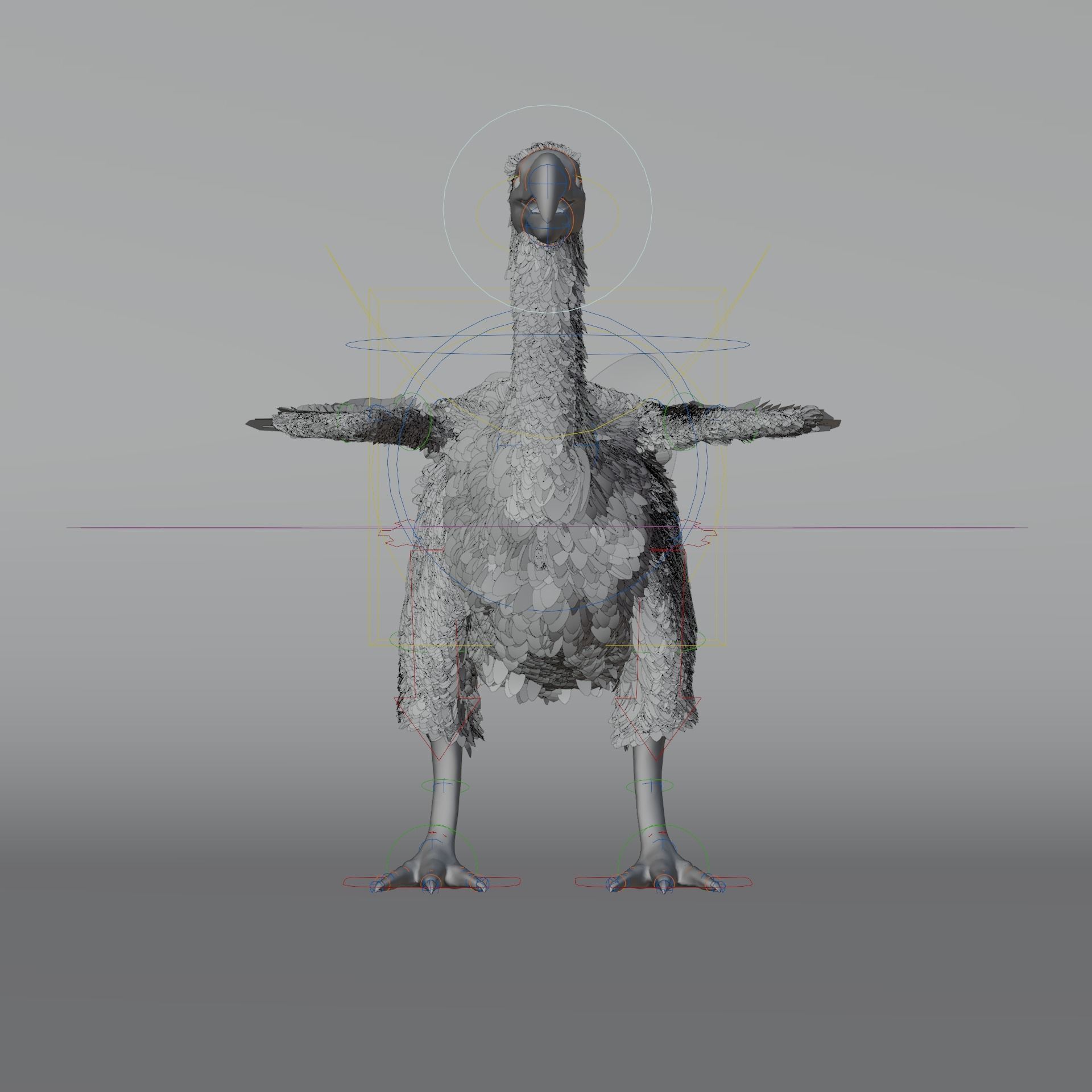 Dodo Animated 3D model animated rigged | CGTrader