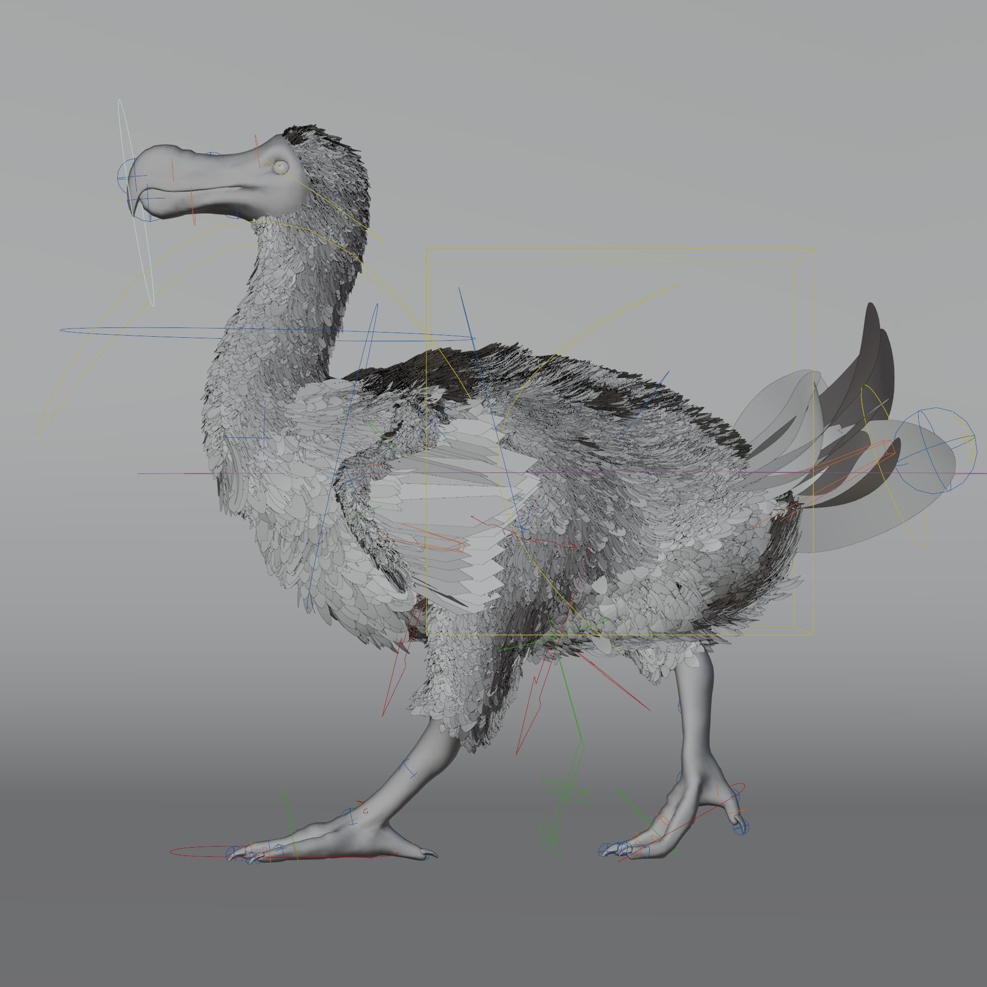 Dodo Animated 3D model animated rigged | CGTrader