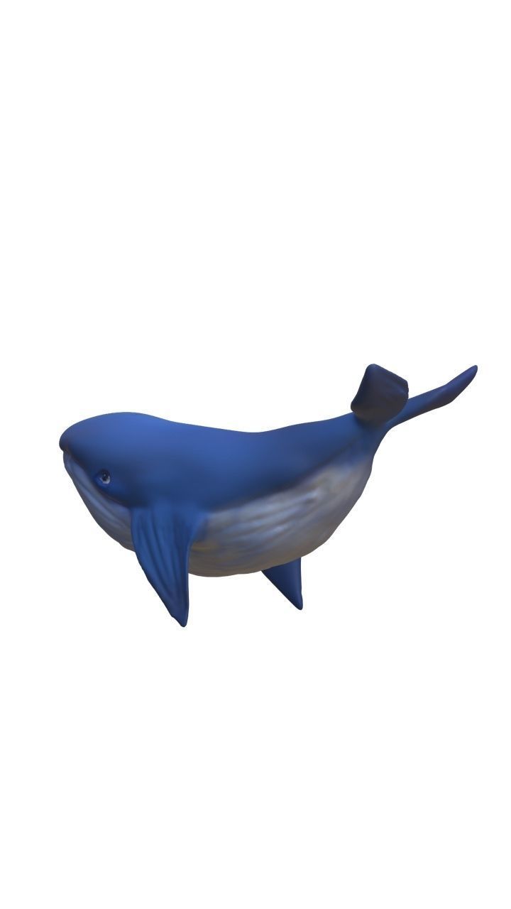 Cartoon Style Blue Whale 3D Model 3D model 3D printable | CGTrader