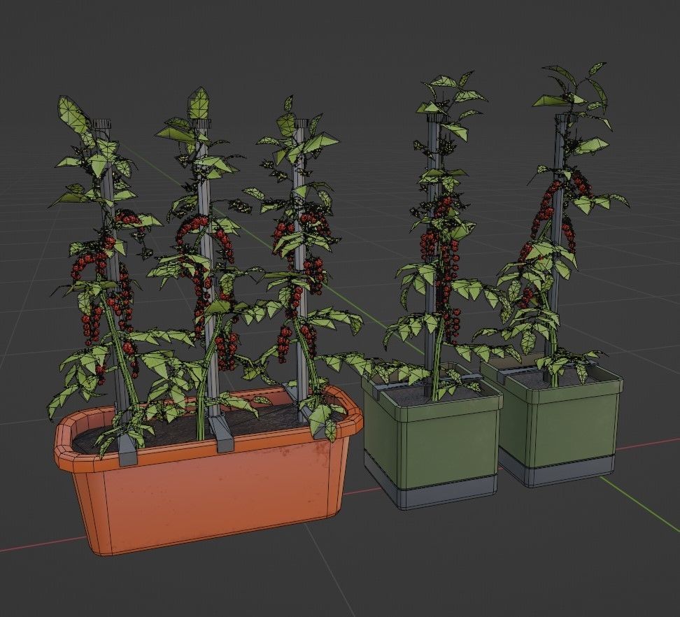 3D model Cherry Tomato with pots Pbr VR / AR / low-poly | CGTrader