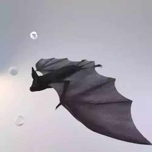 BAT Rigged 3D model rigged | CGTrader