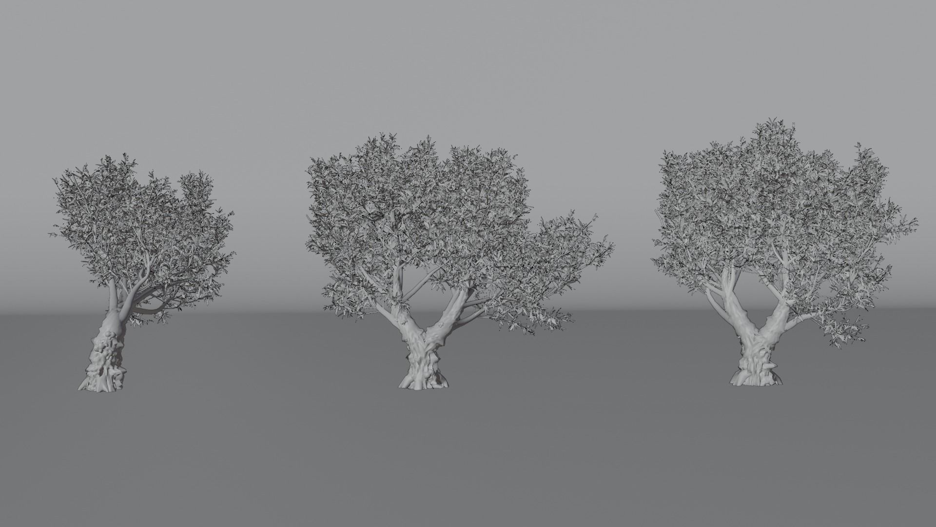 Set of realistic Olive Trees - 3 Trees - Blender 3D model | CGTrader
