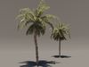 Set of realistic Palm Trees - 2 Trees - Blender 3D model | CGTrader