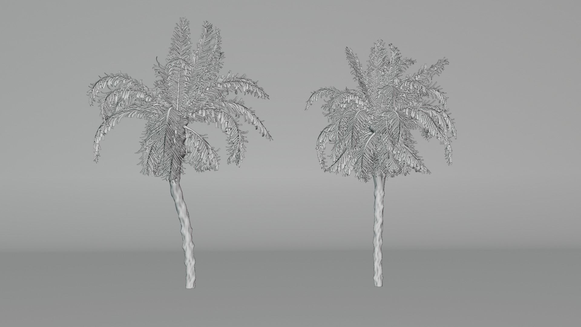 Set of realistic Palm Trees - 2 Trees - Blender 3D model | CGTrader