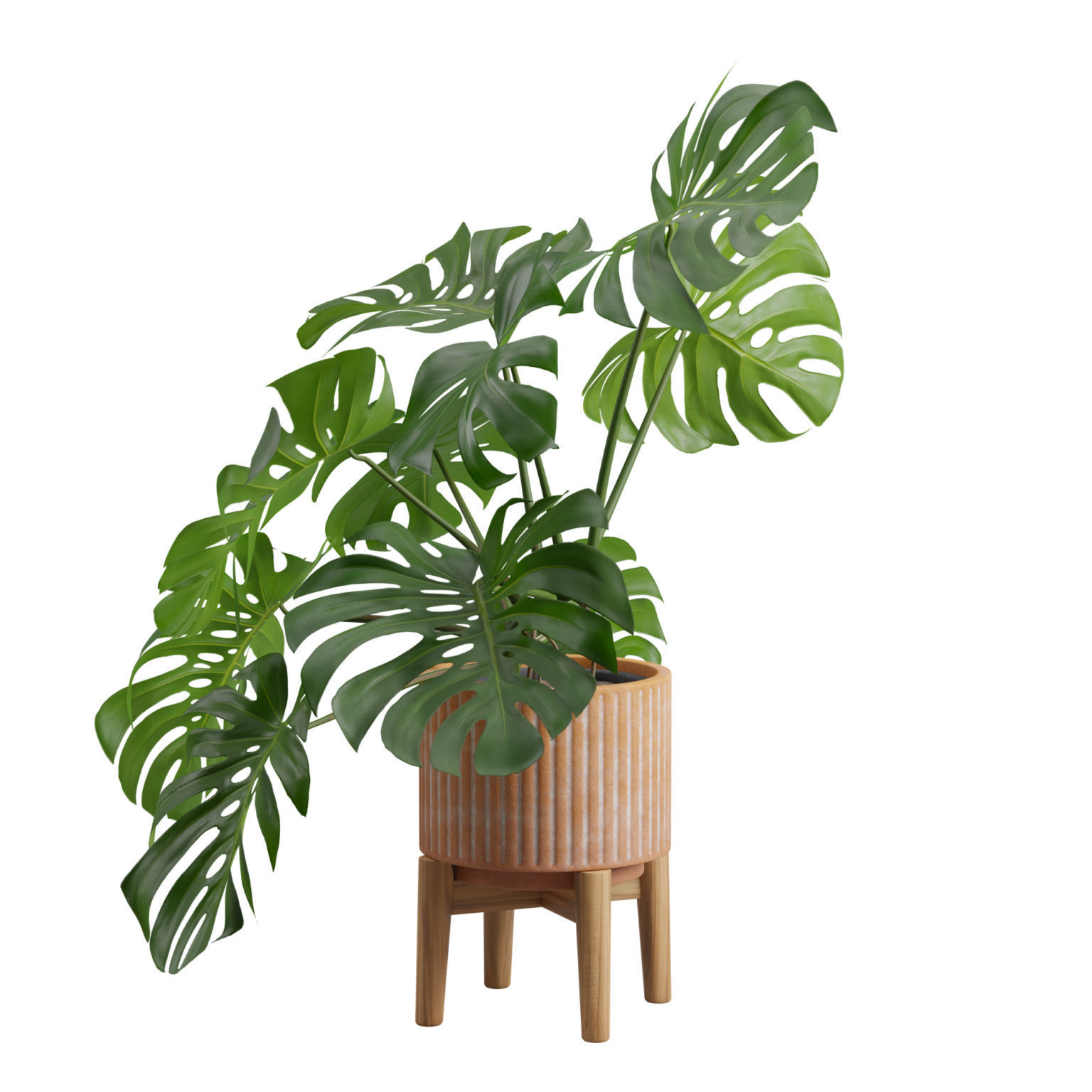 Stand Pot Plant Monstera Deliciosa 3D model | CGTrader