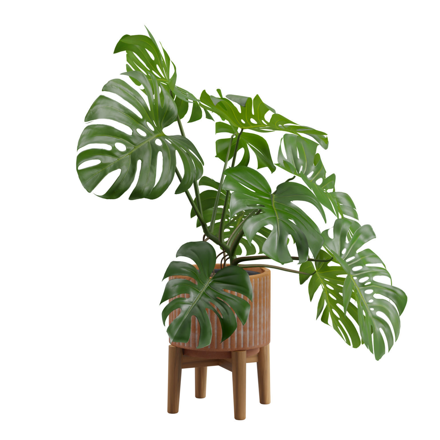 Stand Pot Plant Monstera Deliciosa 3D model | CGTrader