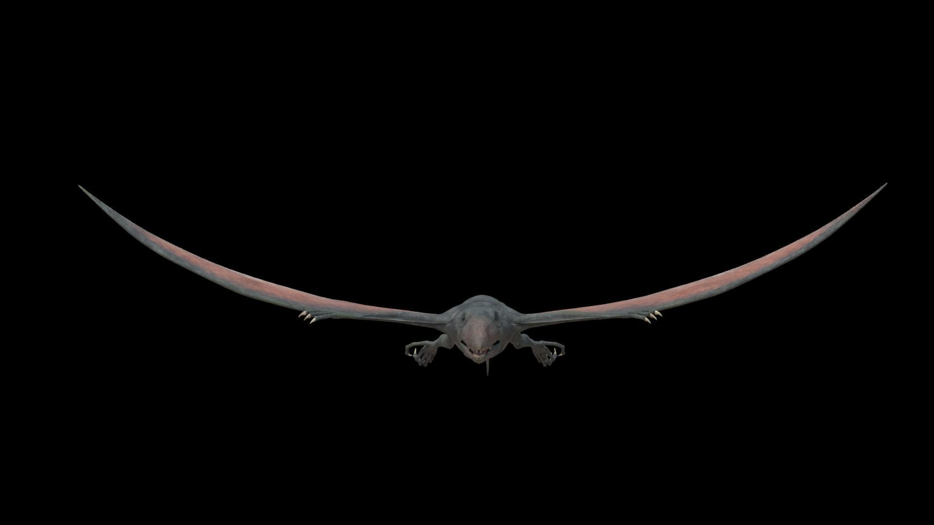4K Eudimorphodon 3D model animated | CGTrader