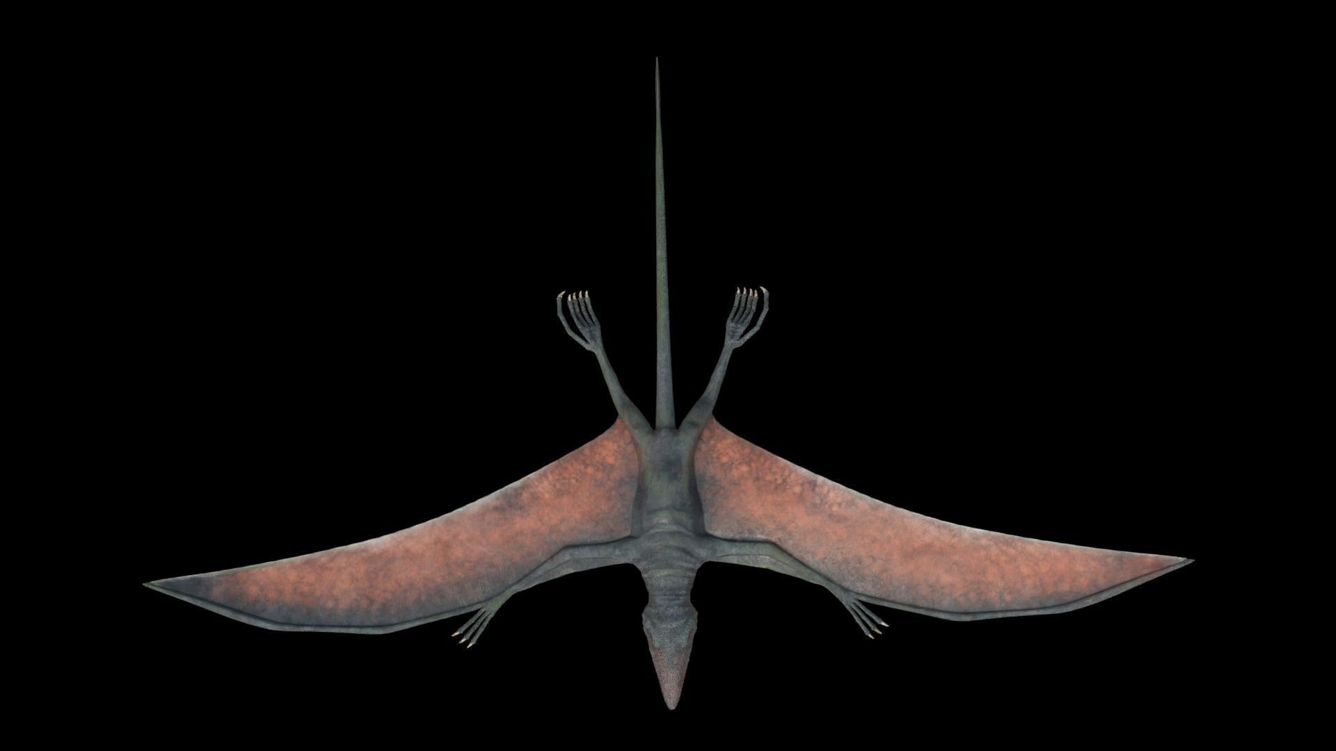 4K Eudimorphodon 3D model animated | CGTrader