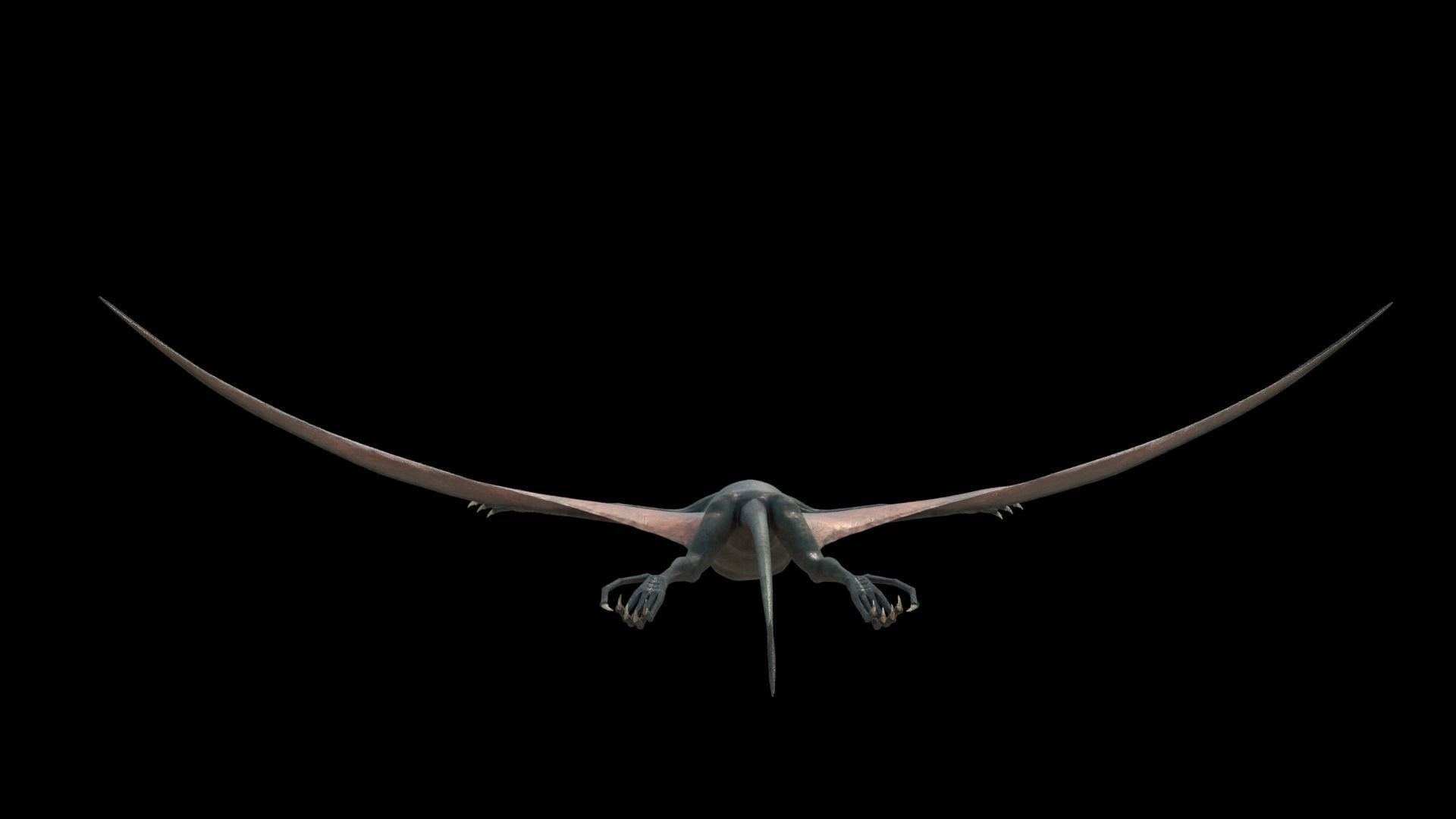 4K Eudimorphodon 3D model animated | CGTrader