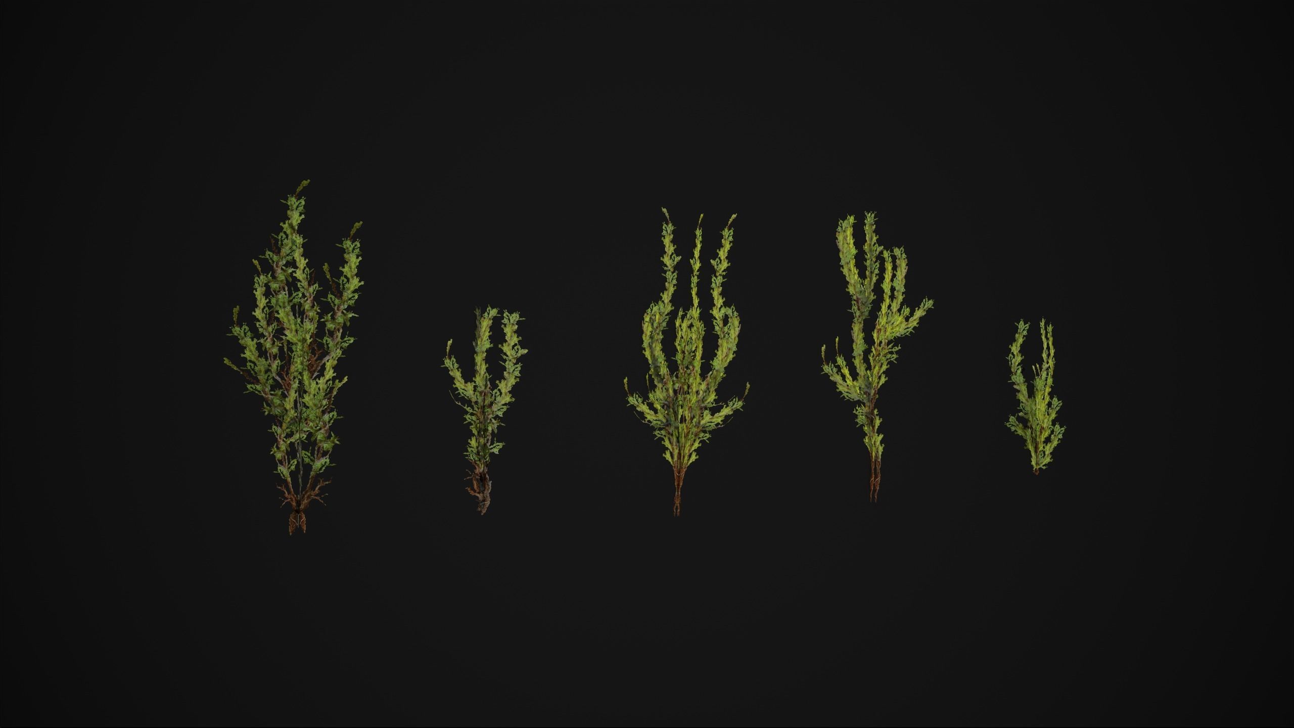 3D model Moss - Grass VR / AR / low-poly | CGTrader