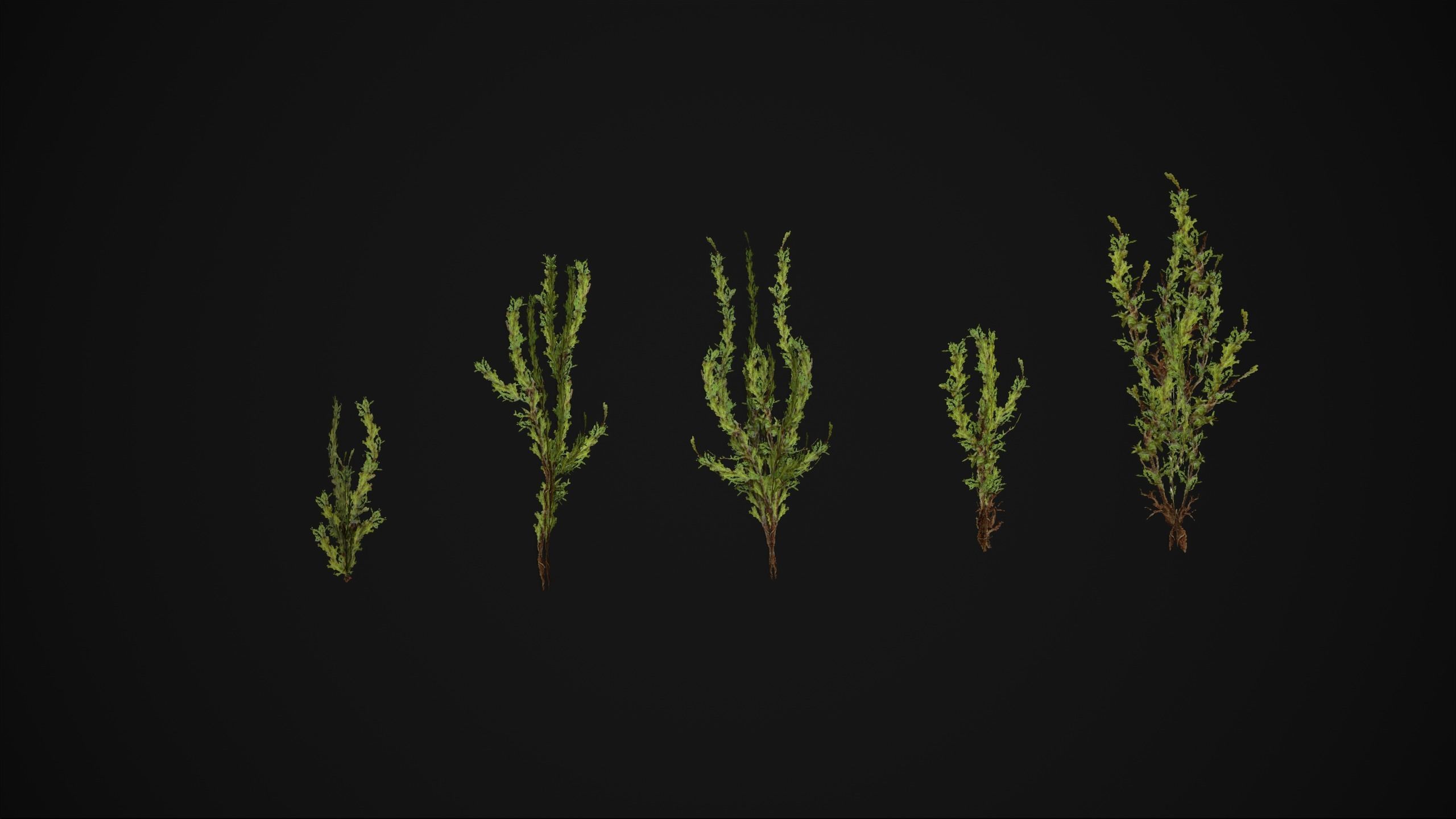 3D model Moss - Grass VR / AR / low-poly | CGTrader