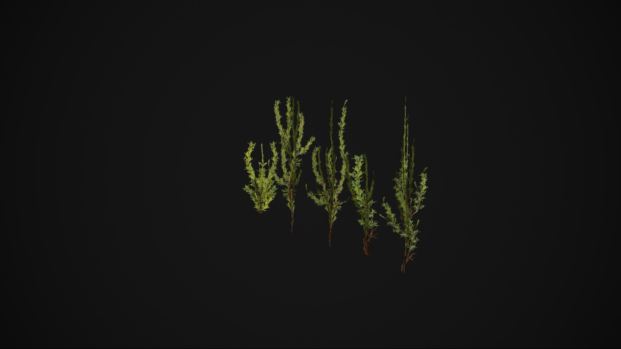 3D model Moss - Grass VR / AR / low-poly | CGTrader