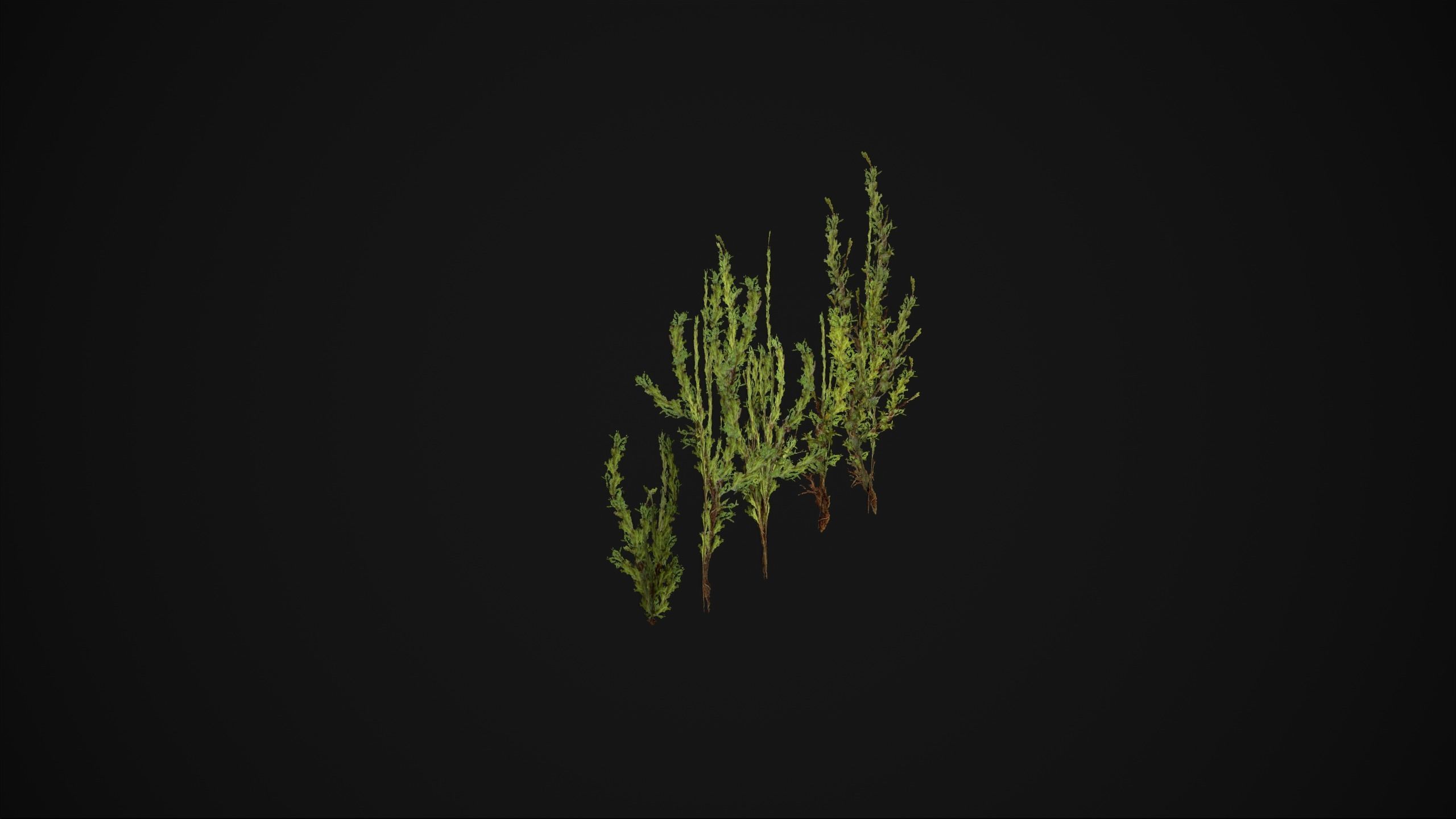 3D model Moss - Grass VR / AR / low-poly | CGTrader