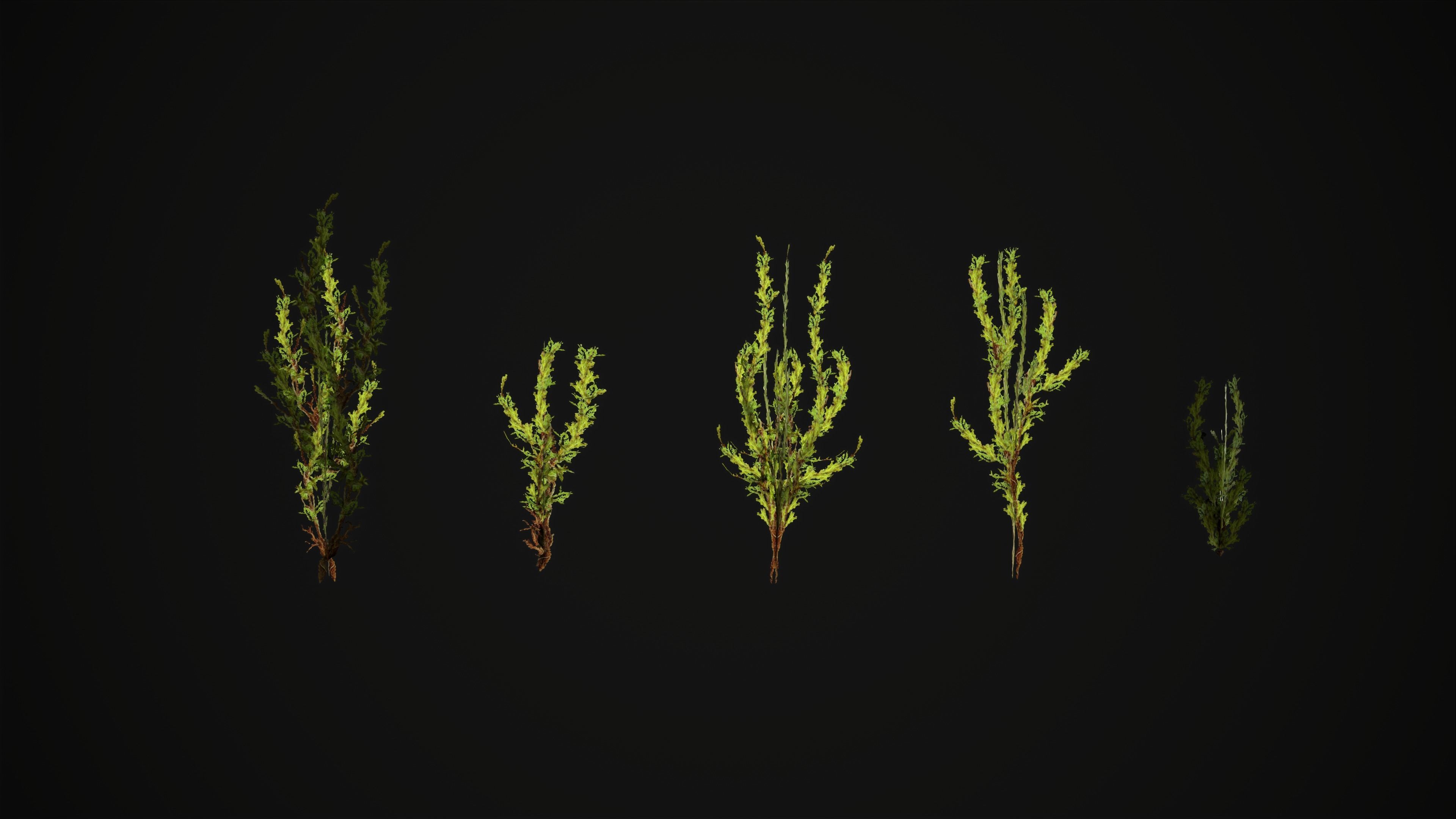 3D model Moss - Grass VR / AR / low-poly | CGTrader