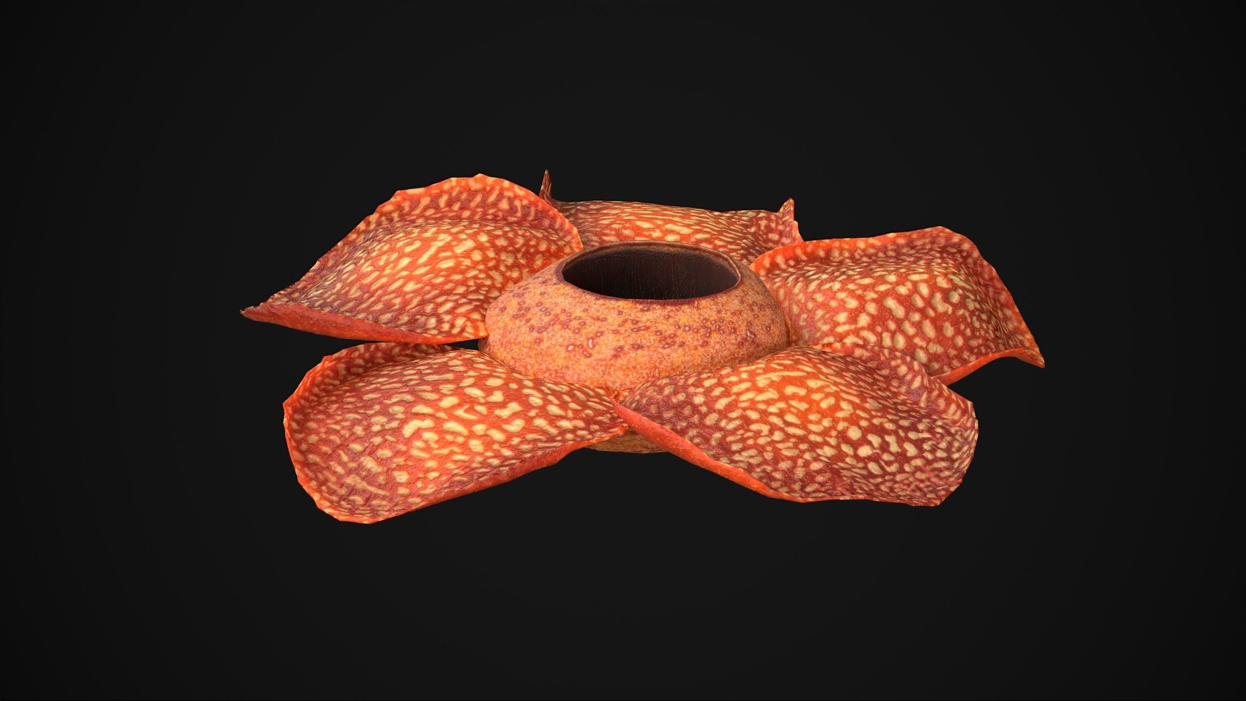 3D model Rafflesia - Grass VR / AR / low-poly | CGTrader