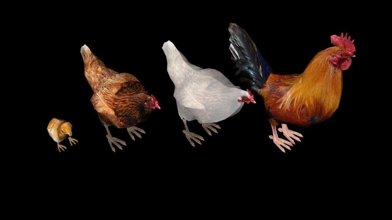 All Chickens 3D Design free 3D model | CGTrader