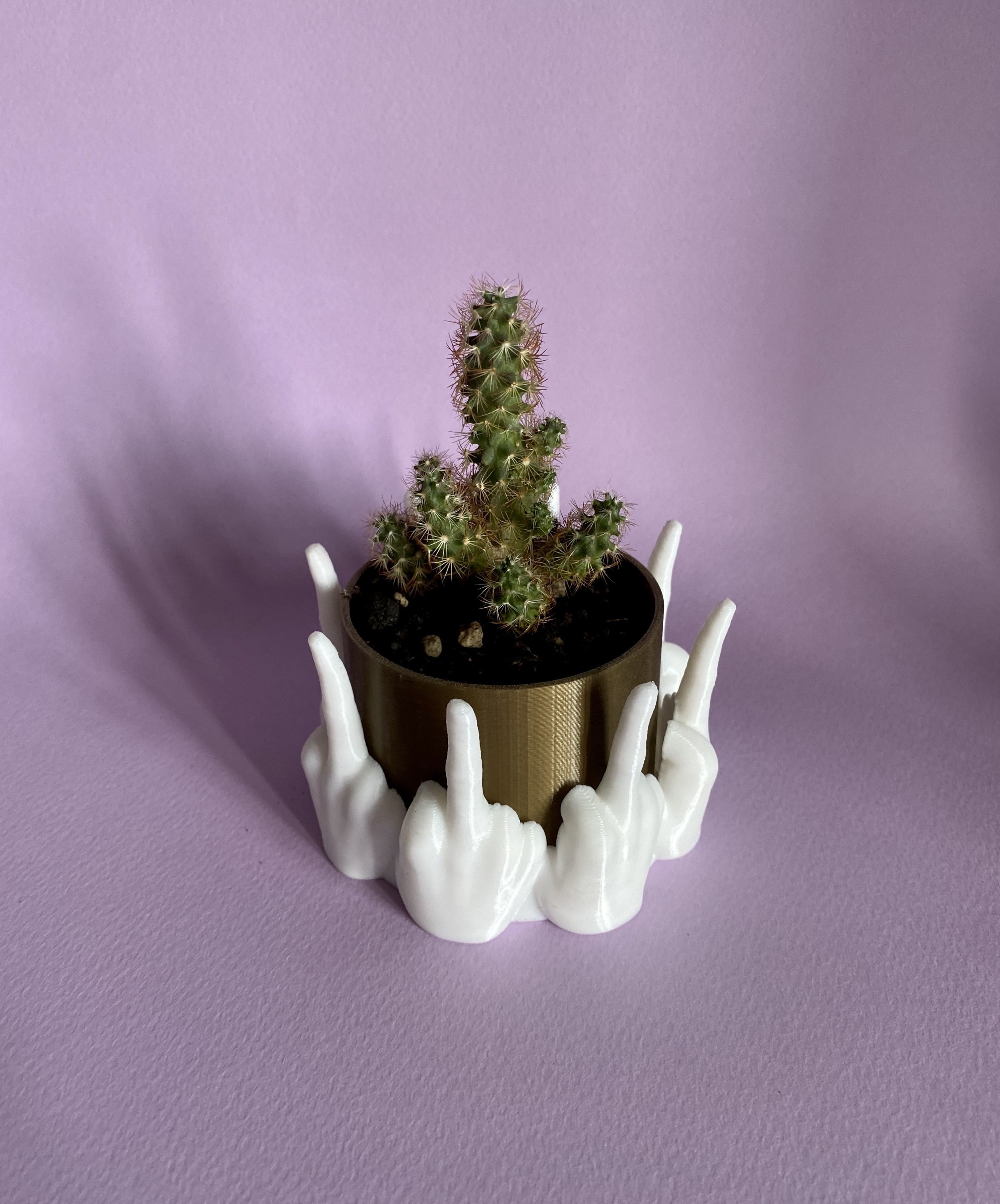 Middle Finger Planter Plant Pot Drip Tray 3D model 3D printable | CGTrader