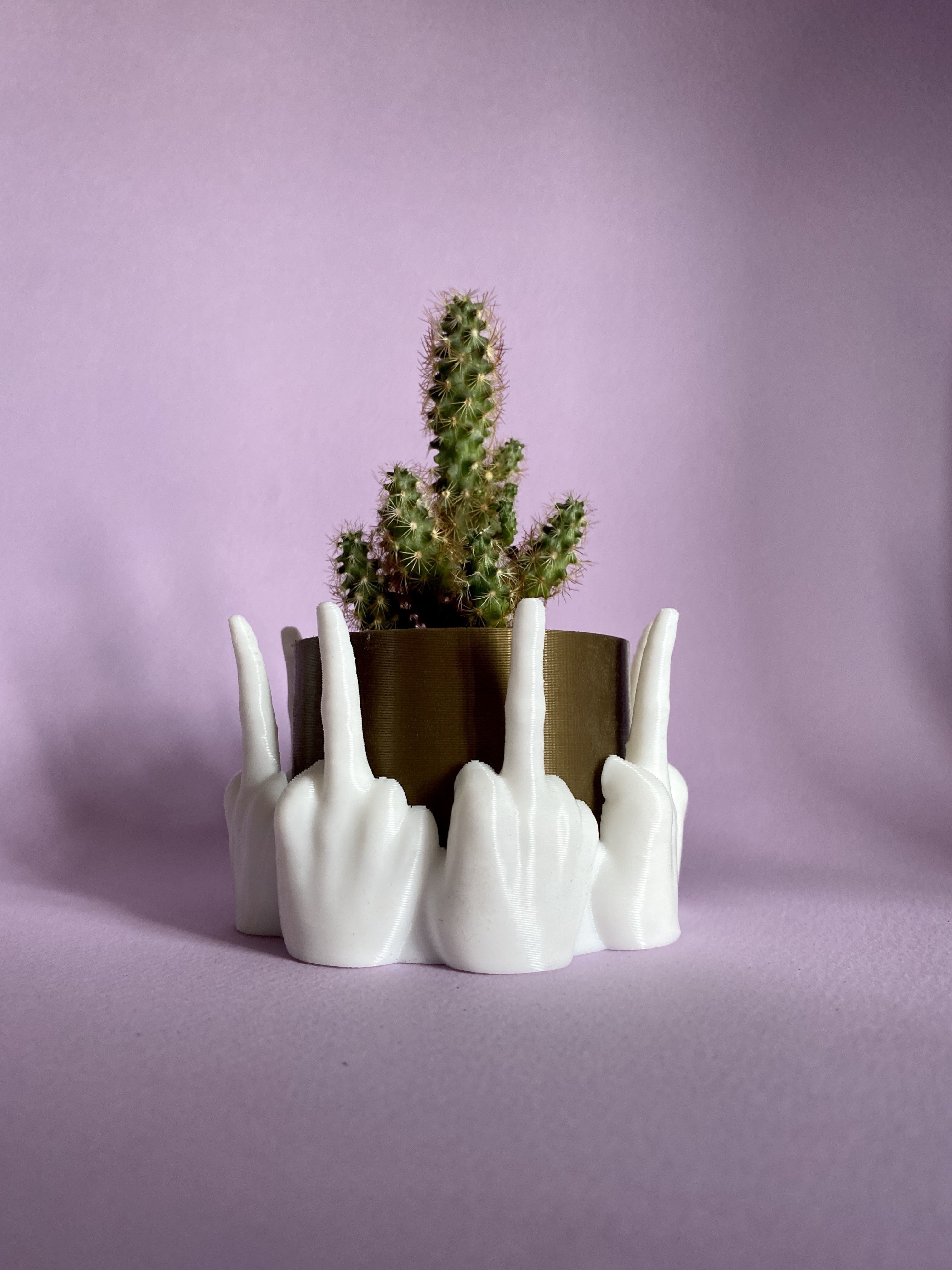 Middle Finger Planter Plant Pot Drip Tray 3D model 3D printable | CGTrader