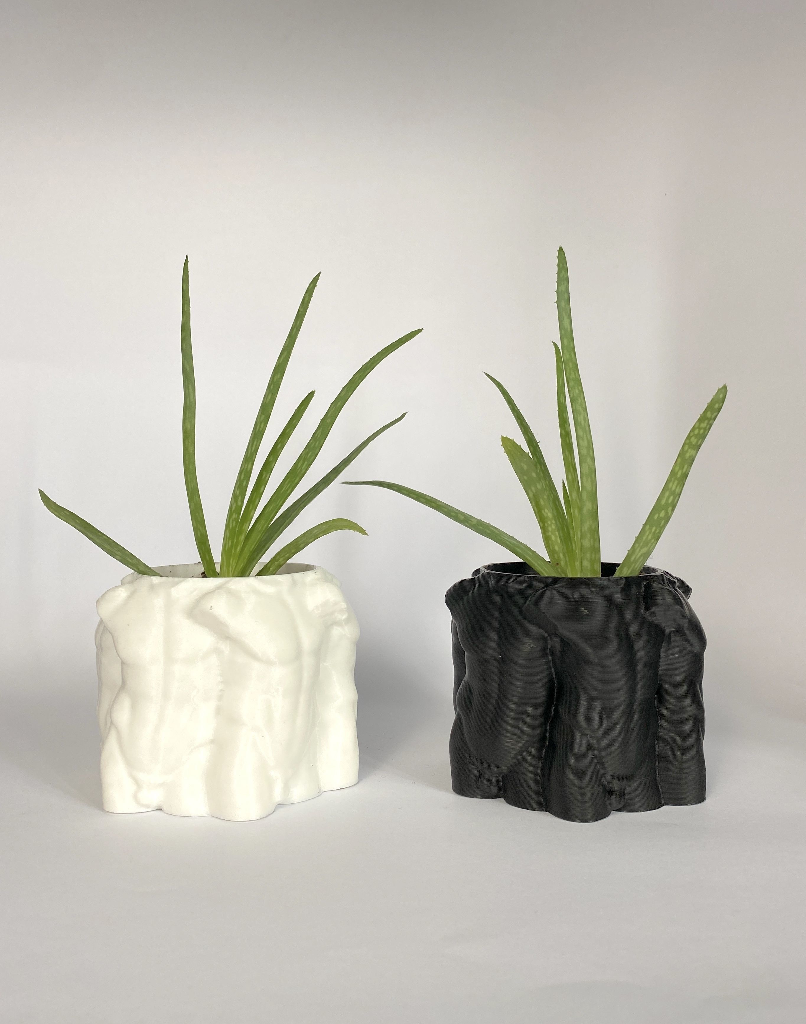 POLY MAN TORSO BODY PLANTER 3D model 3D printable | CGTrader