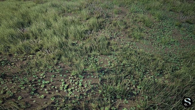 3D model Grass Pack VR / AR / low-poly | CGTrader