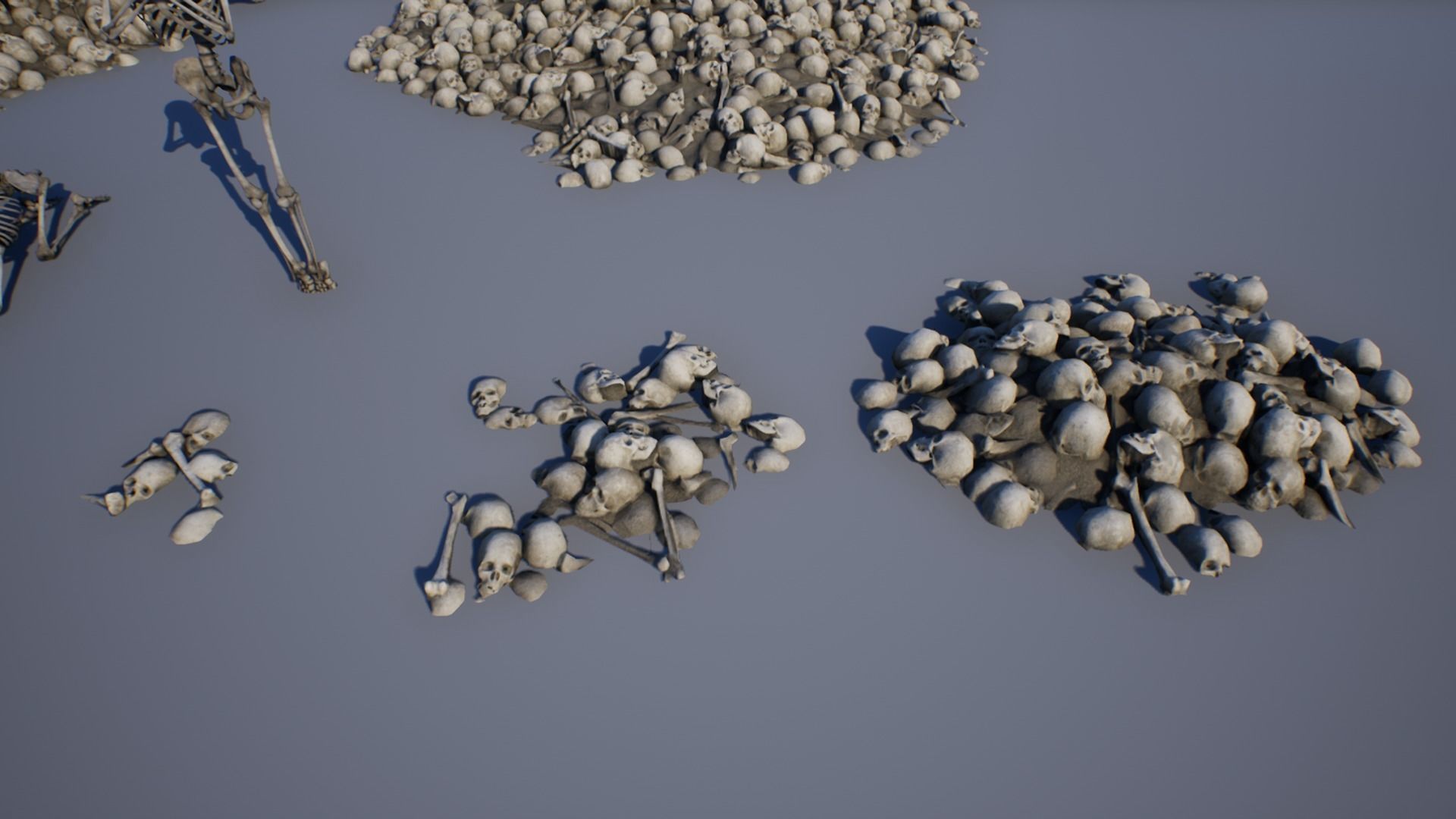 3D model Bones and Scull VR / AR / low-poly | CGTrader