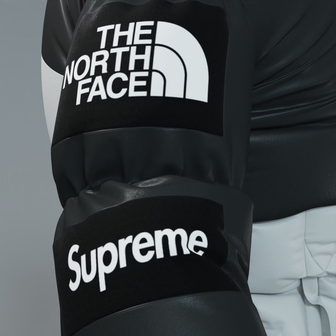 Jacket The North Face feat Supreme 3D model rigged | CGTrader