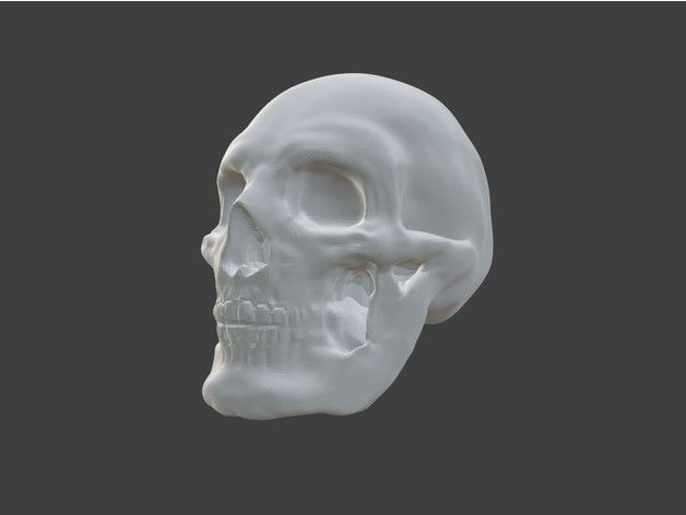 Calavera 3D model | CGTrader