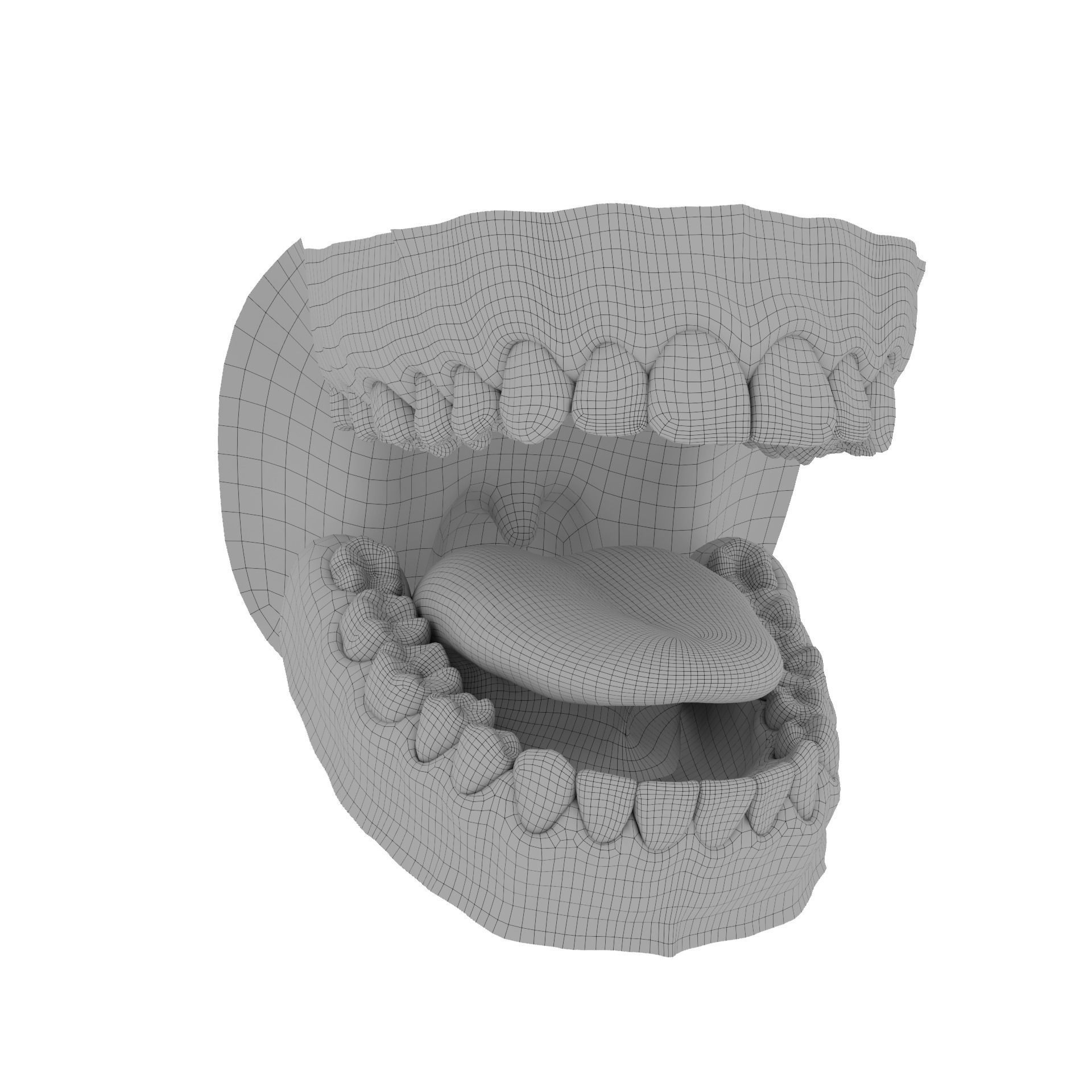Photorealistic Teeth 3D model rigged | CGTrader
