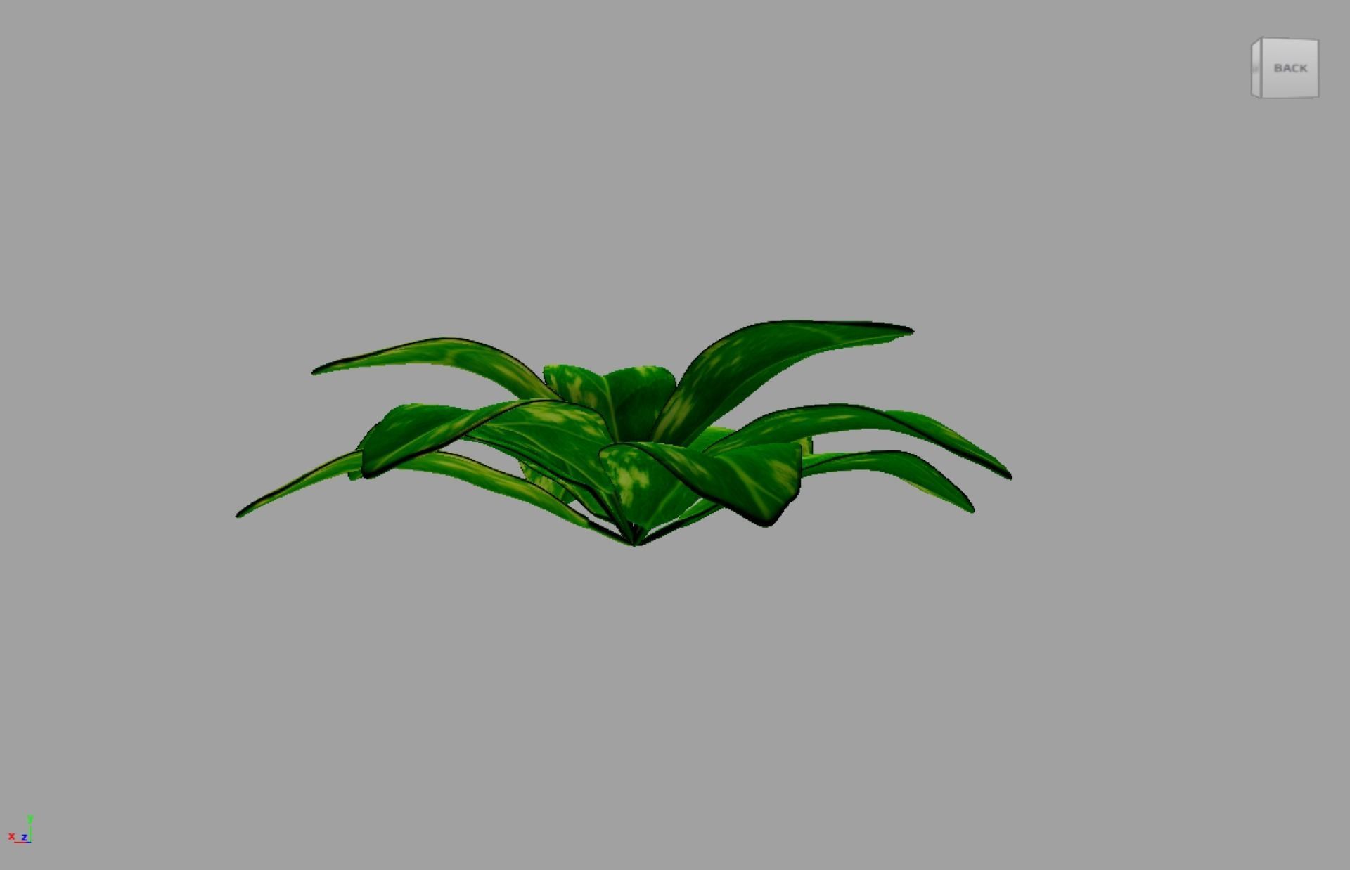 Leaf Plant 3D model | CGTrader