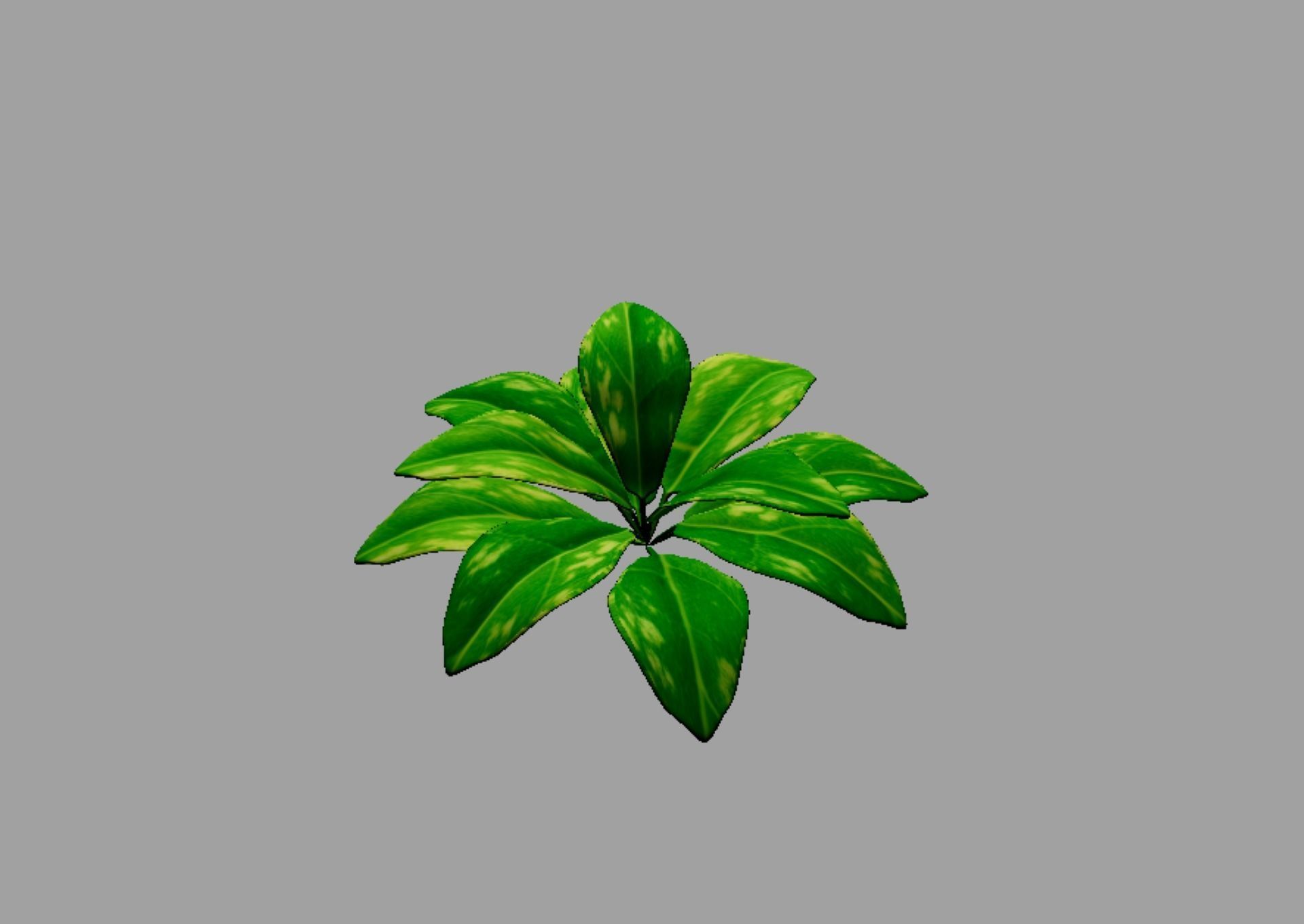 Leaf Plant 3D model | CGTrader