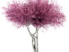 3D model Japanese Pink Tree VR / AR / low-poly | CGTrader