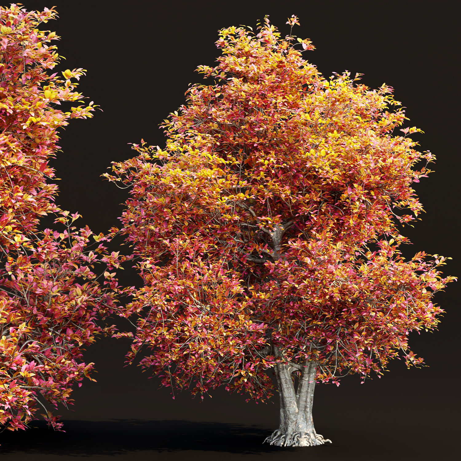 Natural tree for landscape vol 215 3D model | CGTrader