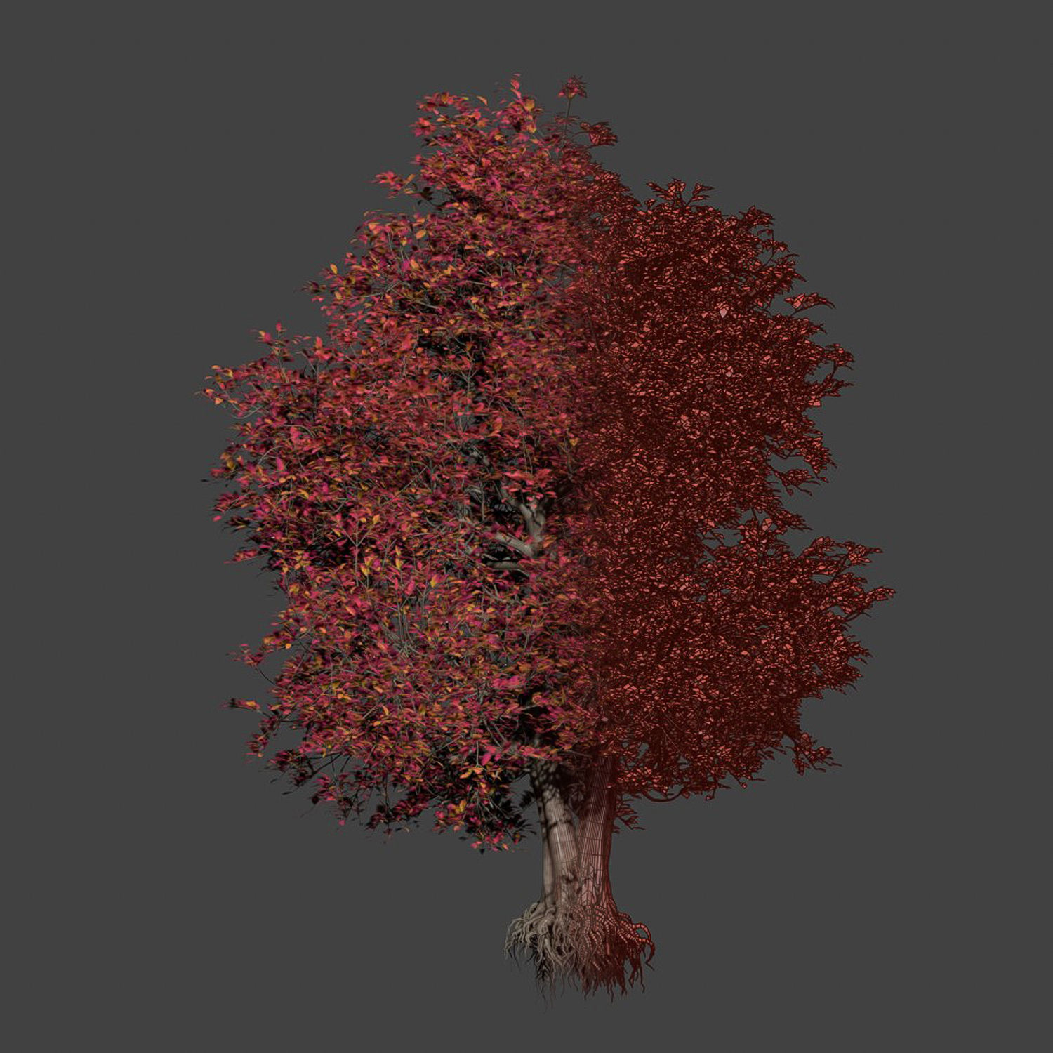 Natural tree for landscape vol 215 3D model | CGTrader