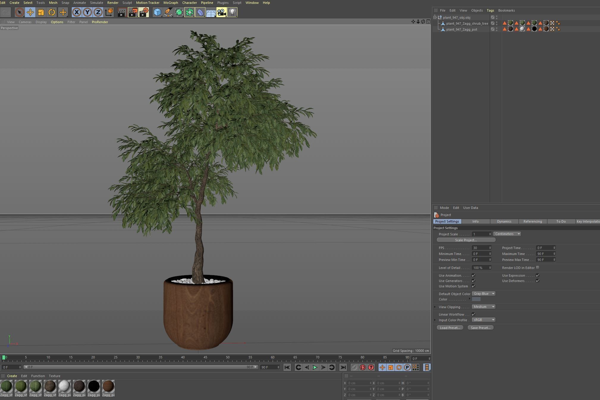 Plants collection 947 3D model | CGTrader