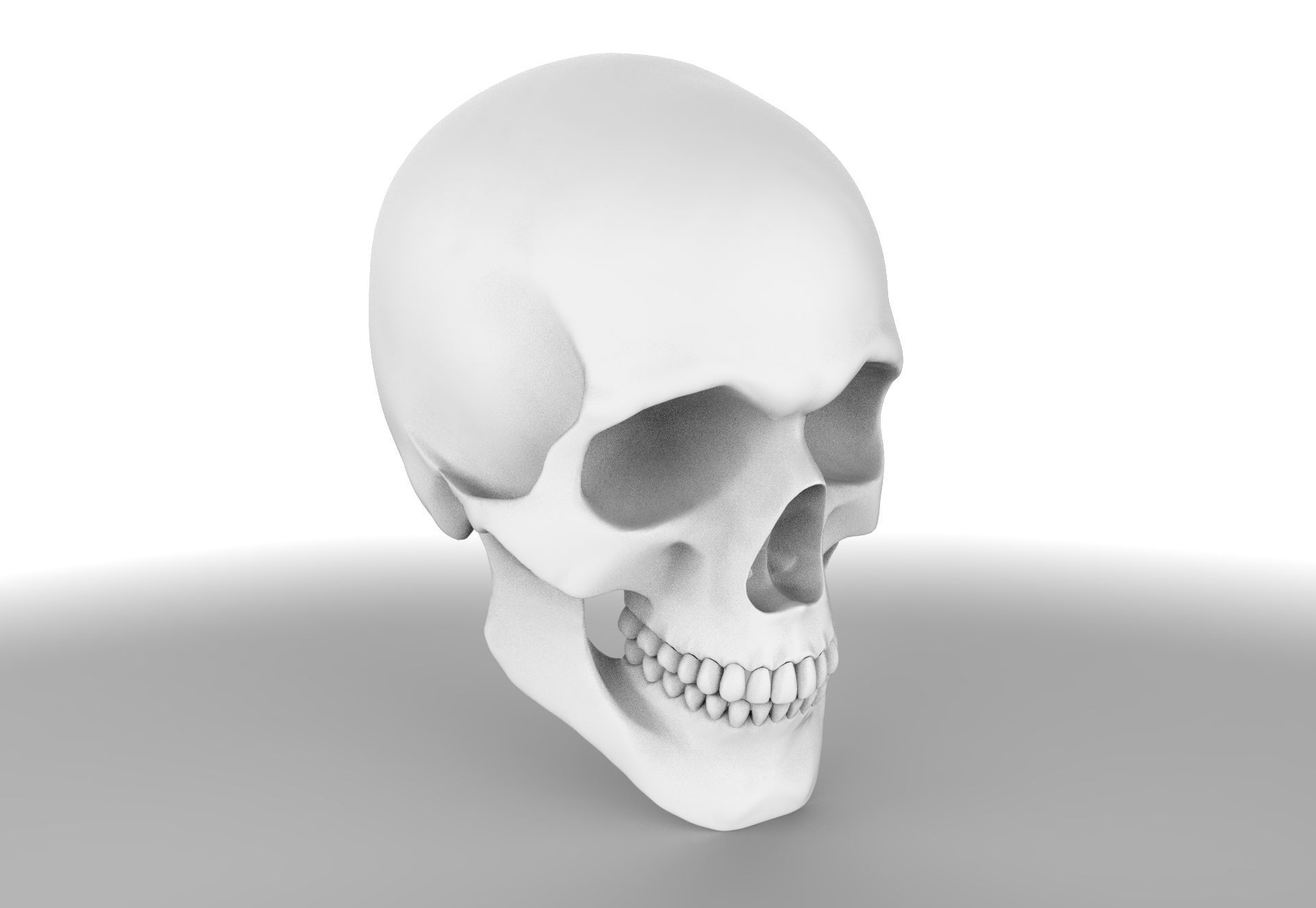 Skeleton Skull 3D model | CGTrader
