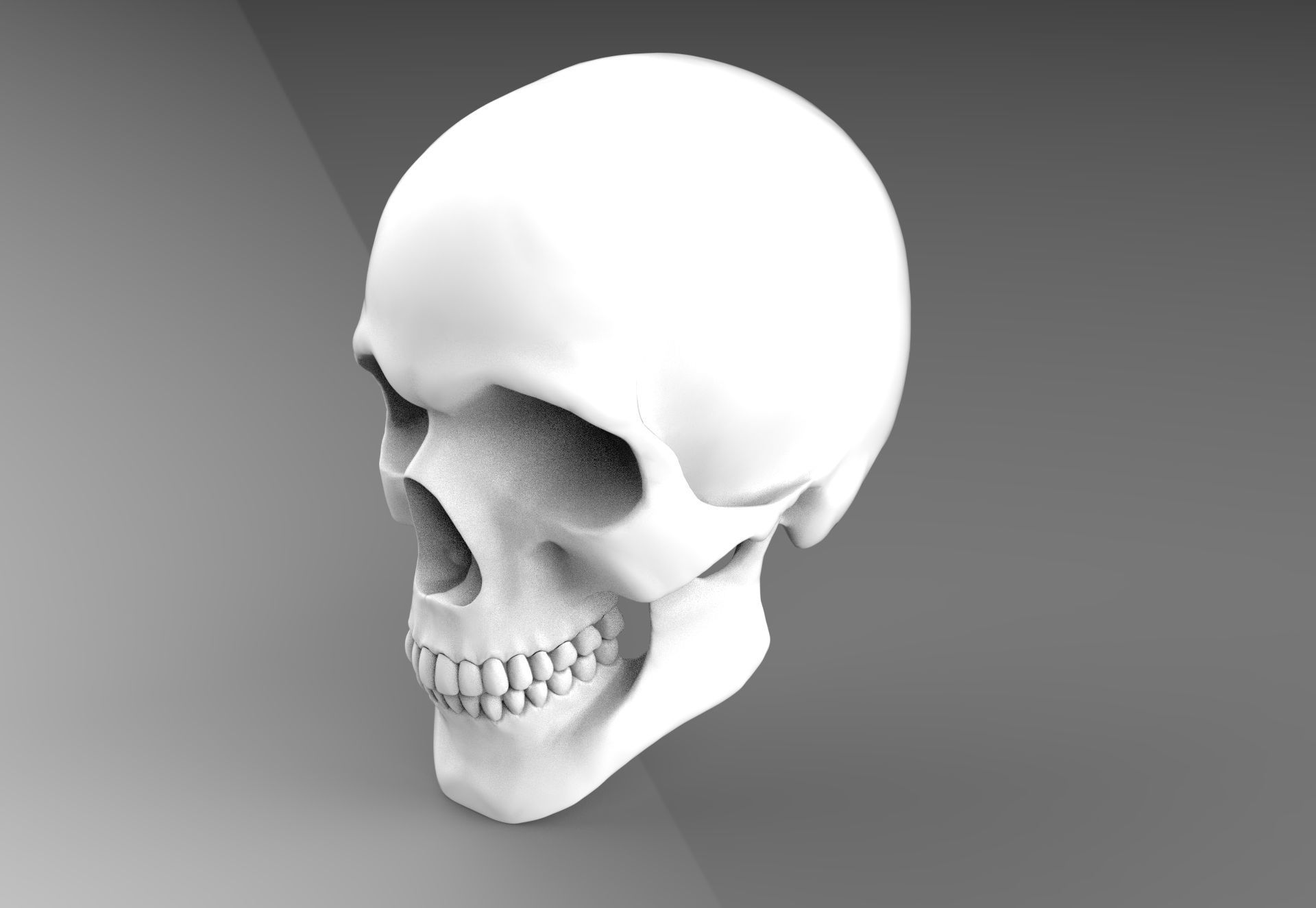 Skeleton Skull 3D model | CGTrader