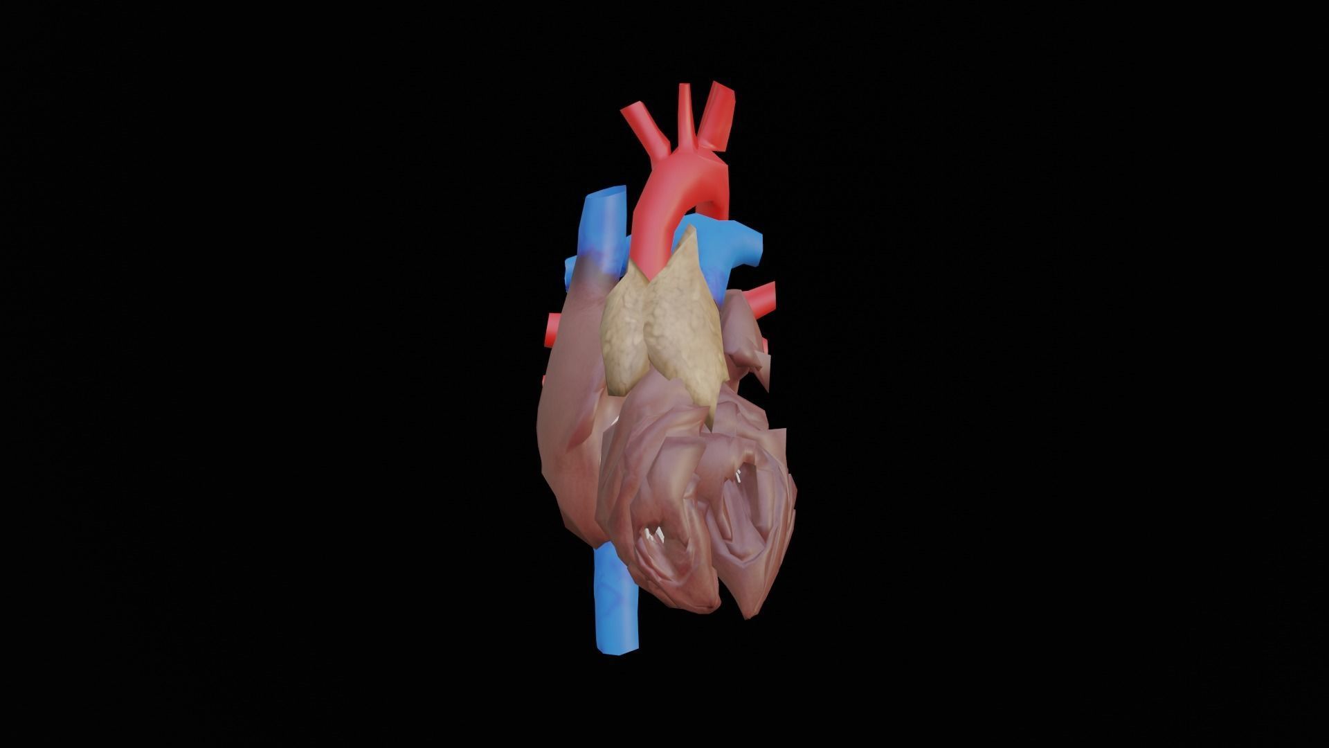 Heart internal with real texture 3D model | CGTrader