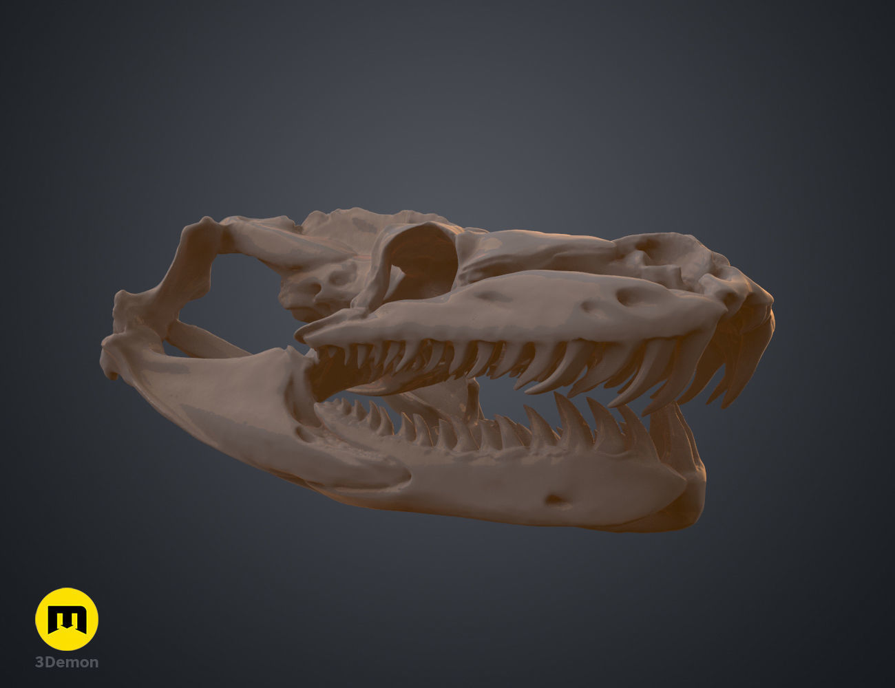 Realistic Snake Skull Collection 3D model 3D printable | CGTrader