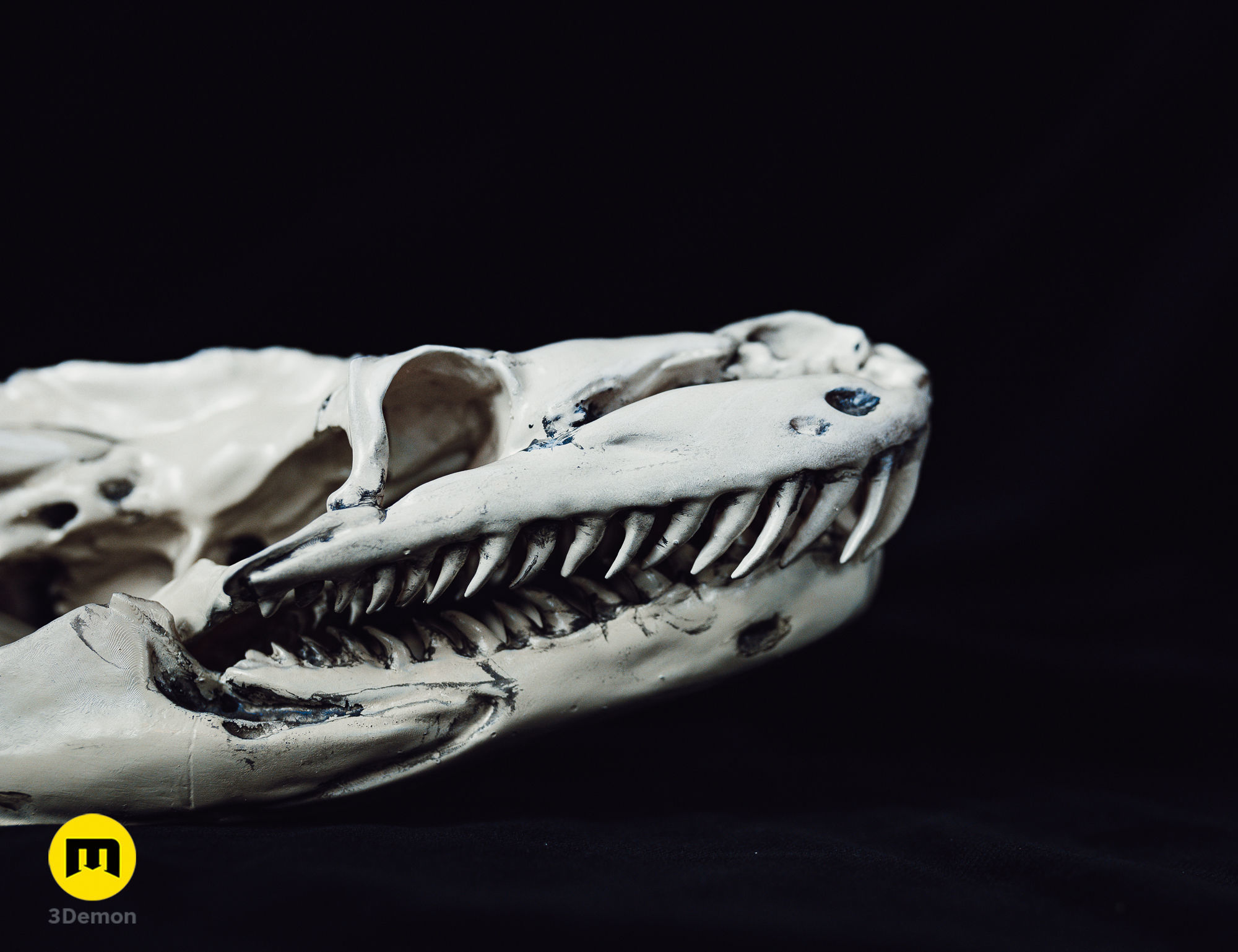 Realistic Snake Skull Collection 3D model 3D printable | CGTrader