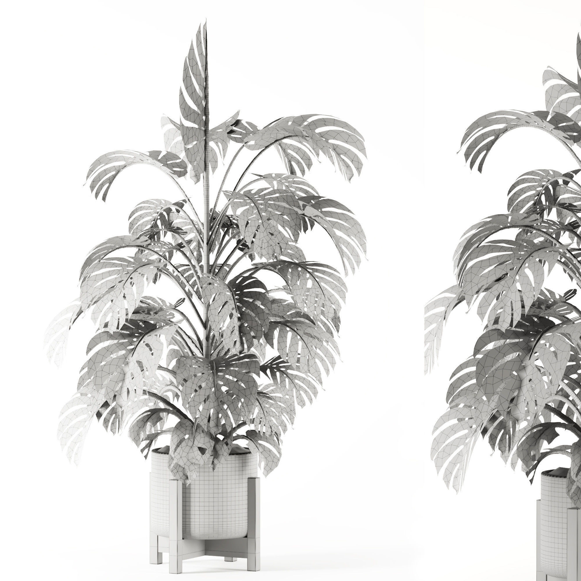 Plants set 01 3D model | CGTrader