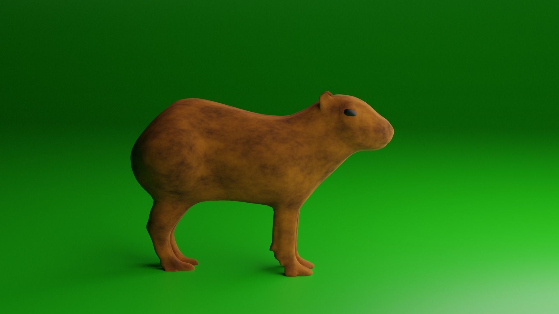 3D model Capybara VR / AR / low-poly | CGTrader