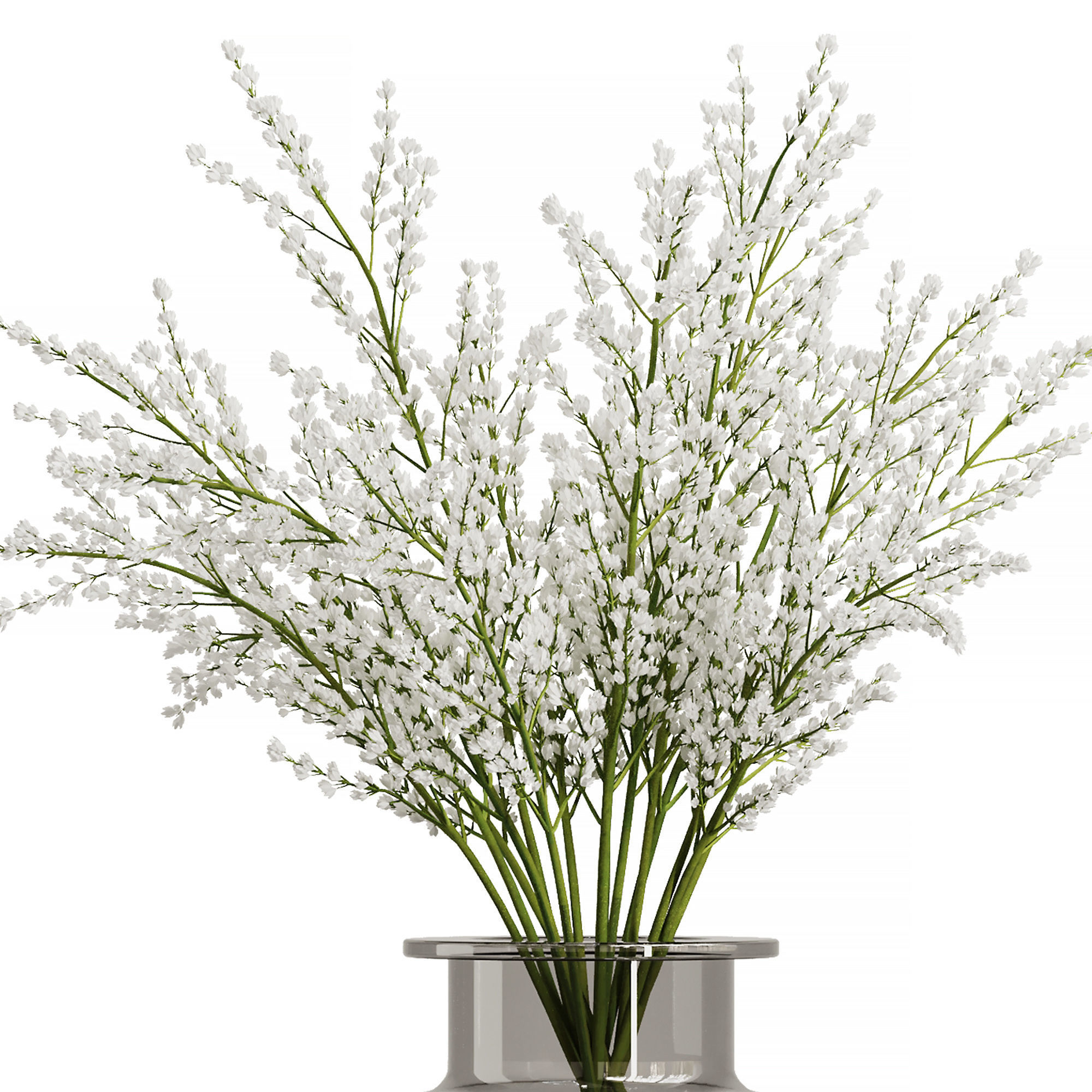 Baby Breath Bouquet 3D model | CGTrader