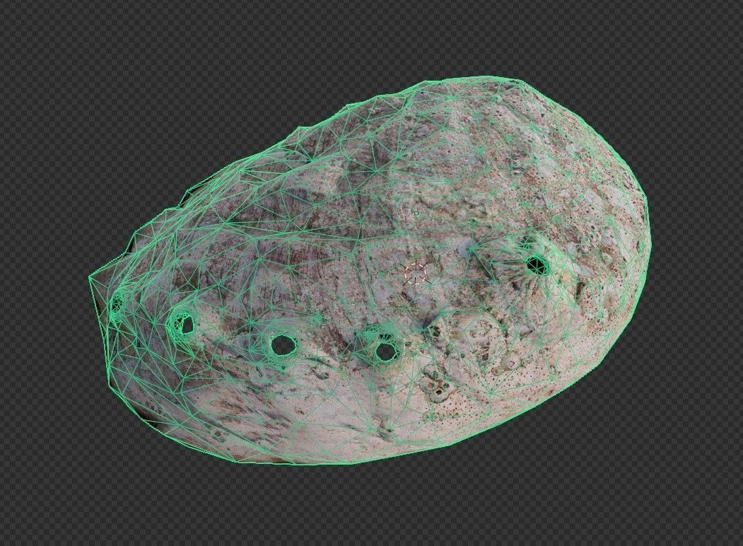 3D model Abalone Shell High Detail Photoscan VR / AR / low-poly | CGTrader