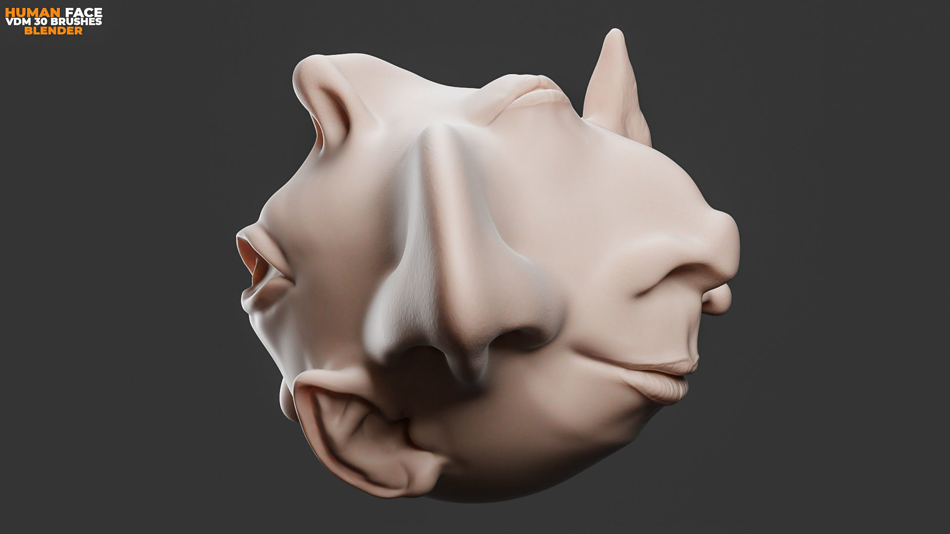 Human Face Vdm Brushes For Blender 3D model | CGTrader