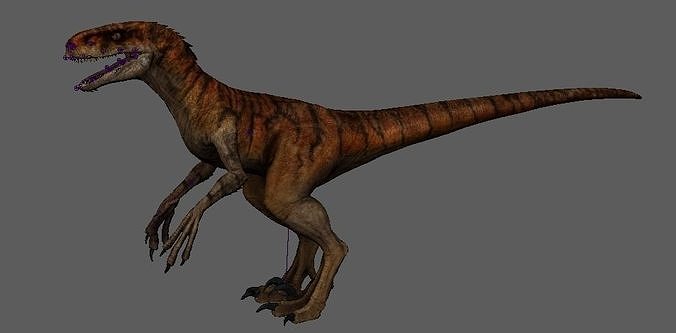3D model Atrociraptor VR / AR / low-poly | CGTrader
