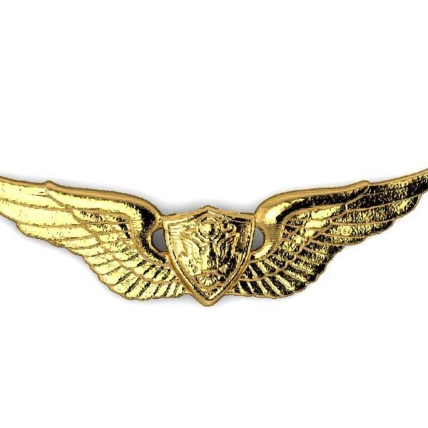 Army Aviation Aircraft Crewman Badge Miniature 3D model 3D printable ...