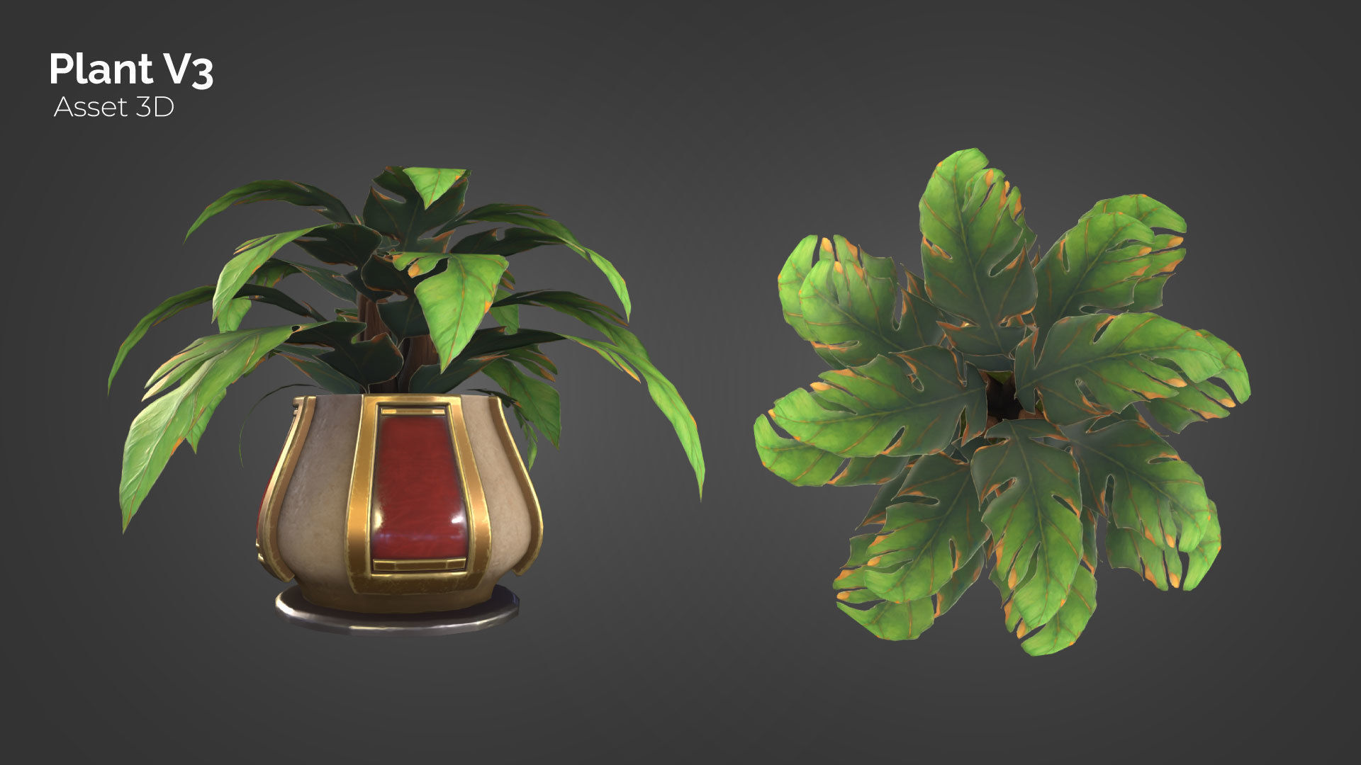 3D model Plant V3 VR / AR / low-poly | CGTrader