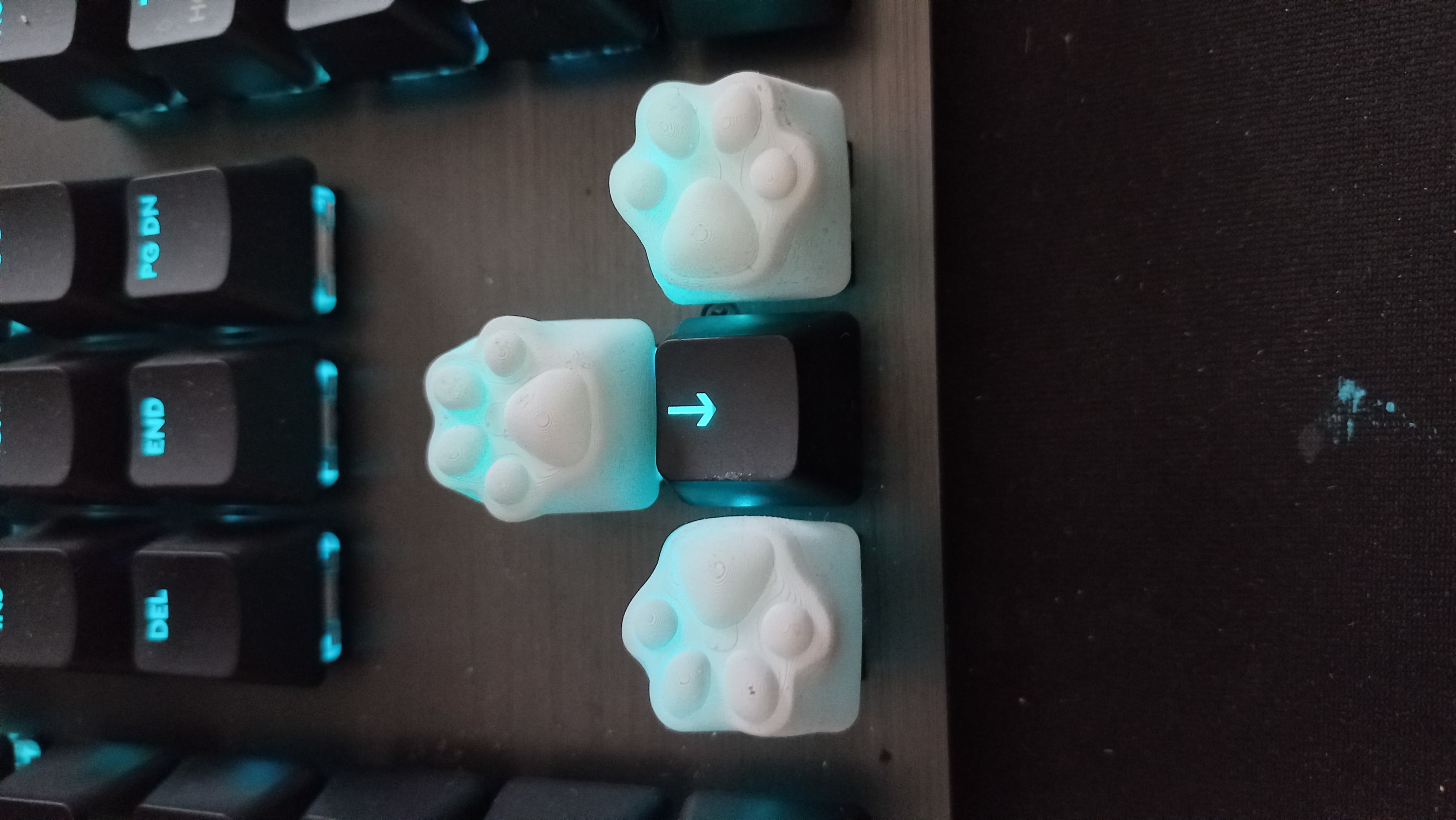 Kitty Paw Keycap custom mechanical keyboard 3D model 3D printable ...
