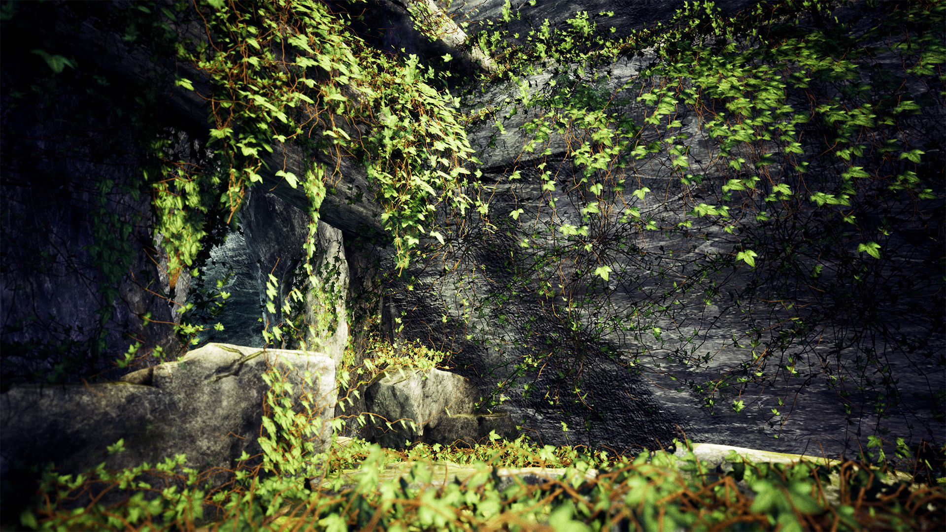 3D model Ivy Plants 47 Assets VR / AR / low-poly | CGTrader