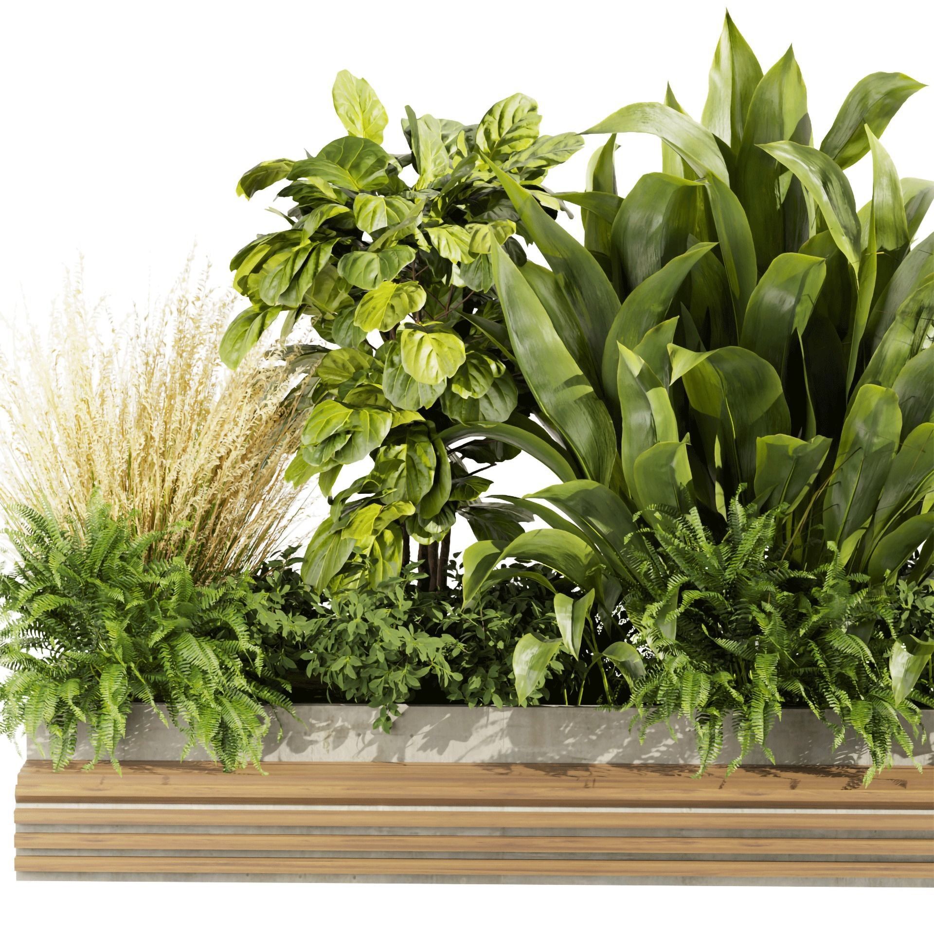 Collection plant vol 496 - garden - leaf - banana - wood 3D model | CGTrader